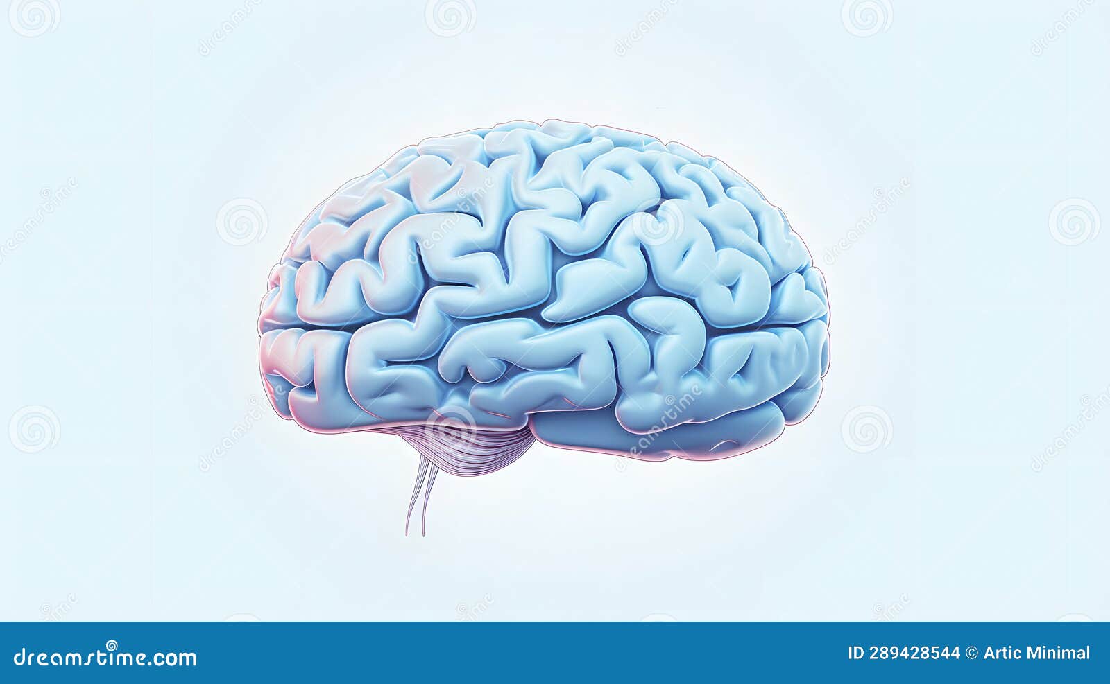 Blue Illustration of Brain with Clean Empty Background Stock ...