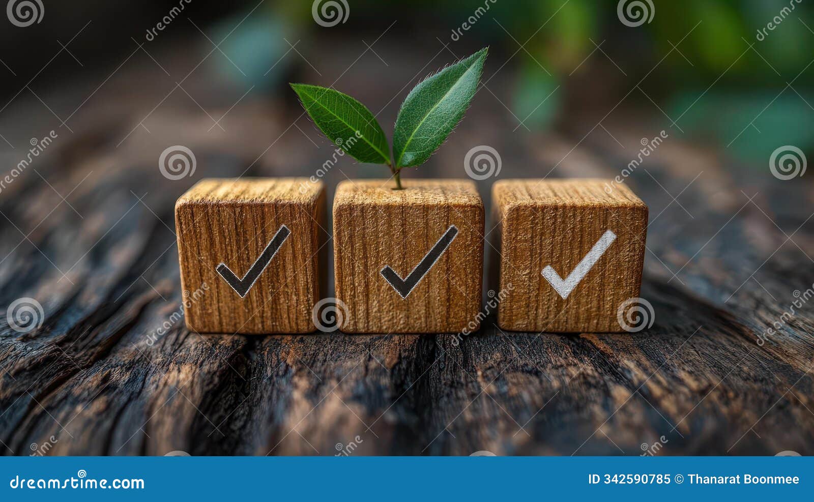 Explore the ISO Certified Concept Featuring Wooden Cubes and Check ...