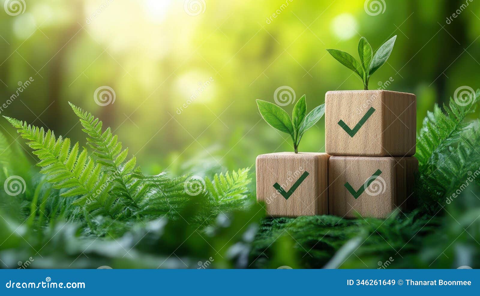 Explore the ISO Certified Concept Featuring Wooden Cubes and Check ...