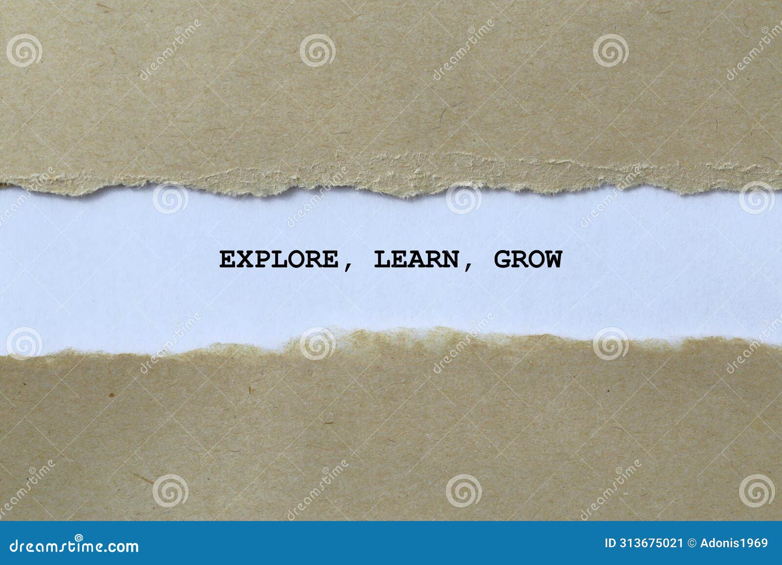 Explore Learn Idea, Vector Illustration. Brain Gear, Learning For Creative Mind In Head ...