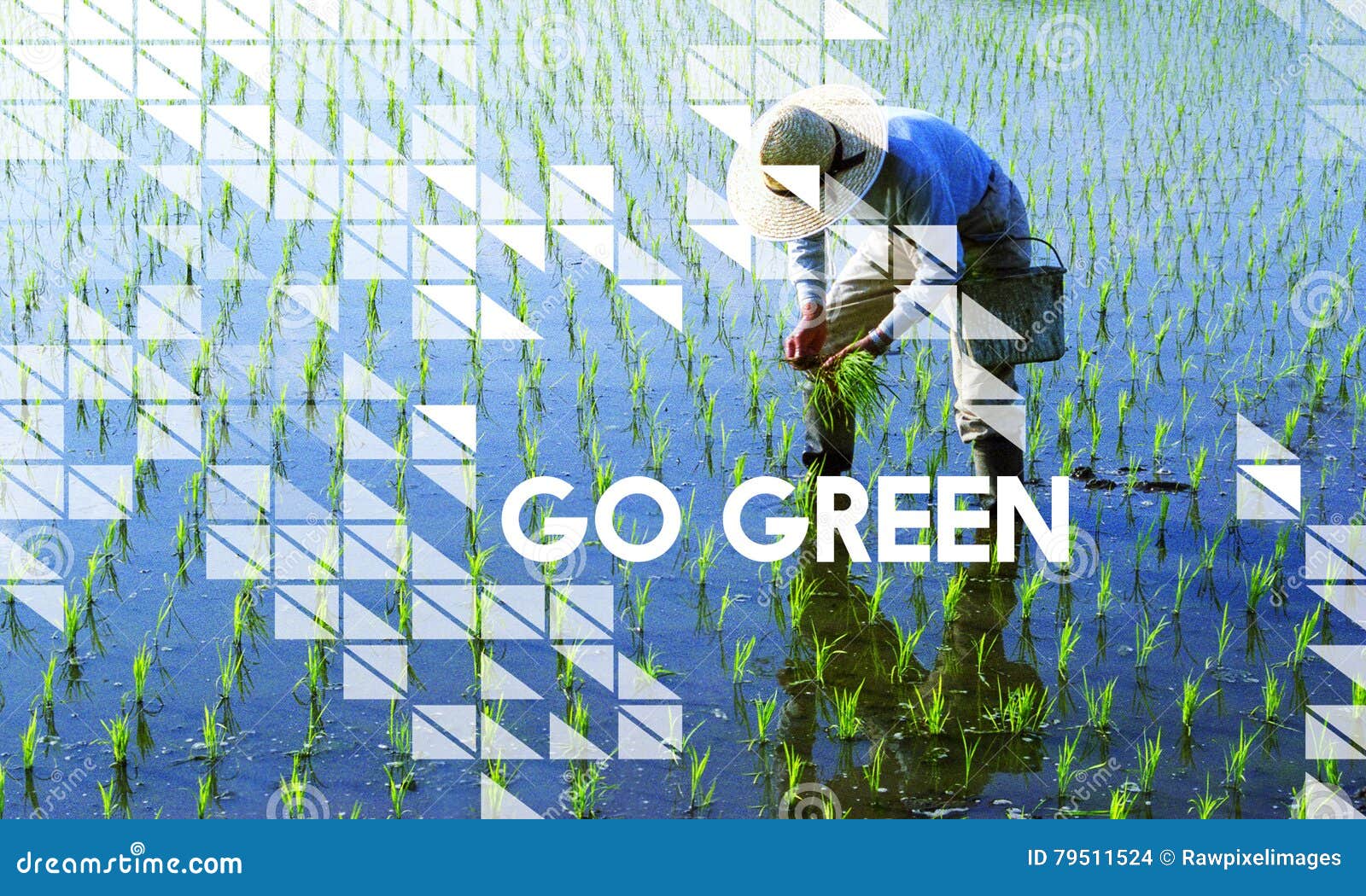 Explore Life Earth Green Environment Concept Stock Photo - Image of ...