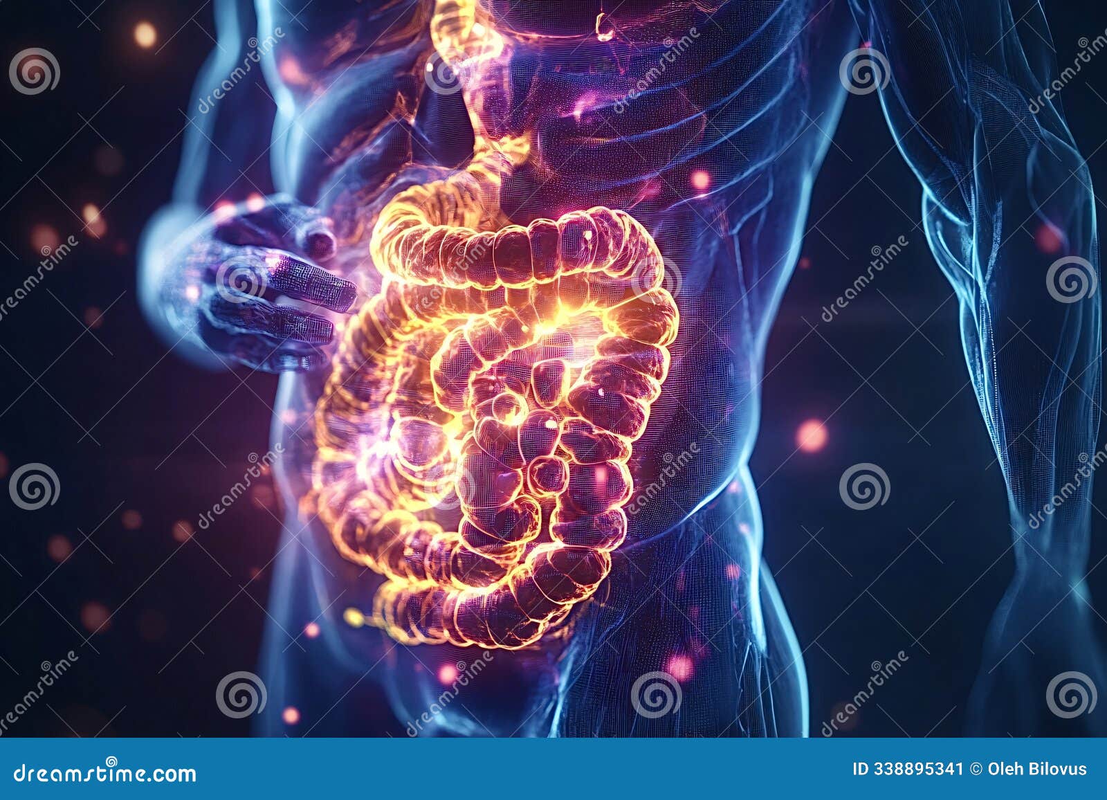 Human Body Showing Digestive System with Intestines Glowing Stock ...