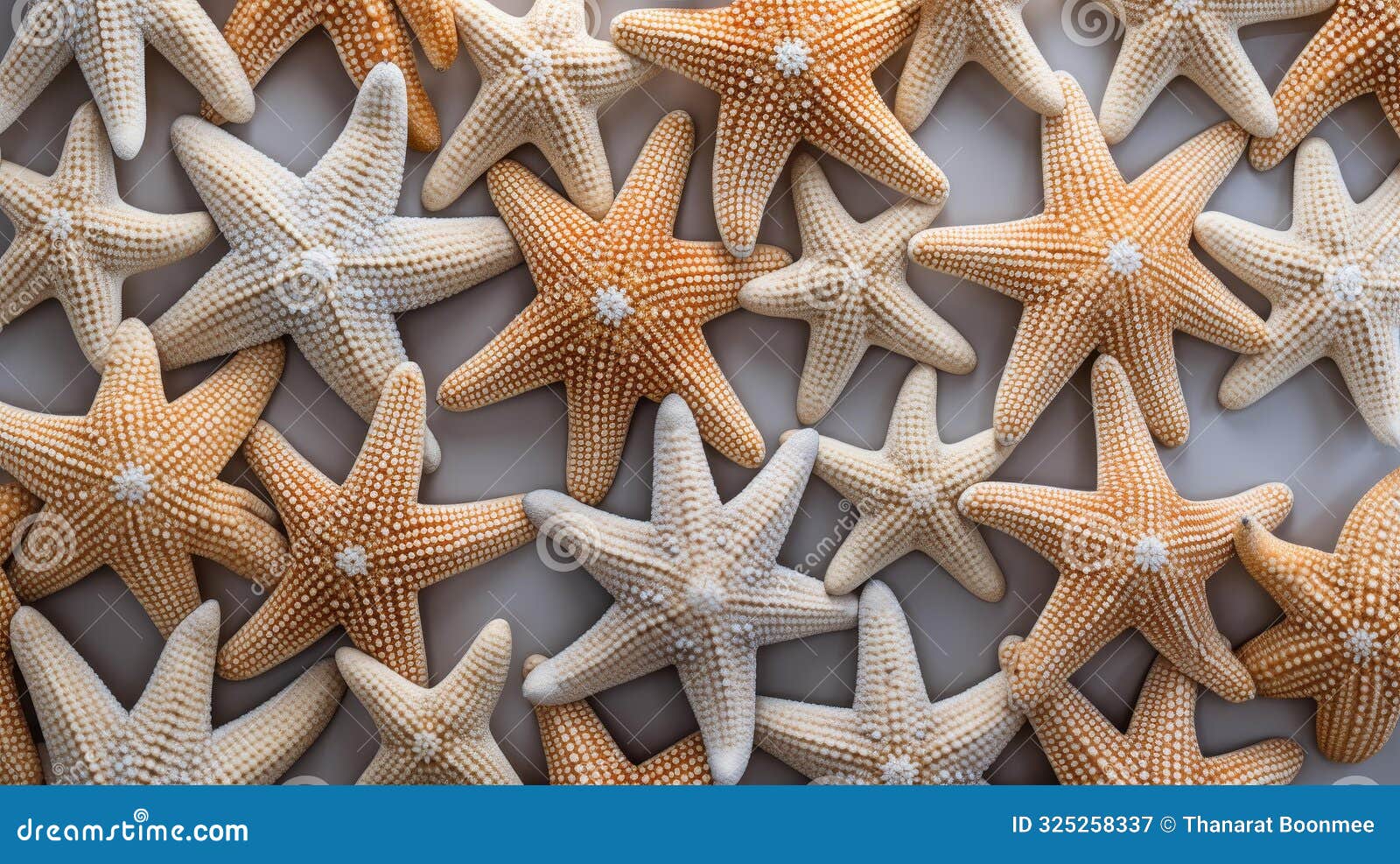 Explore the Mesmerizing Details of Starfish Textures in this ...