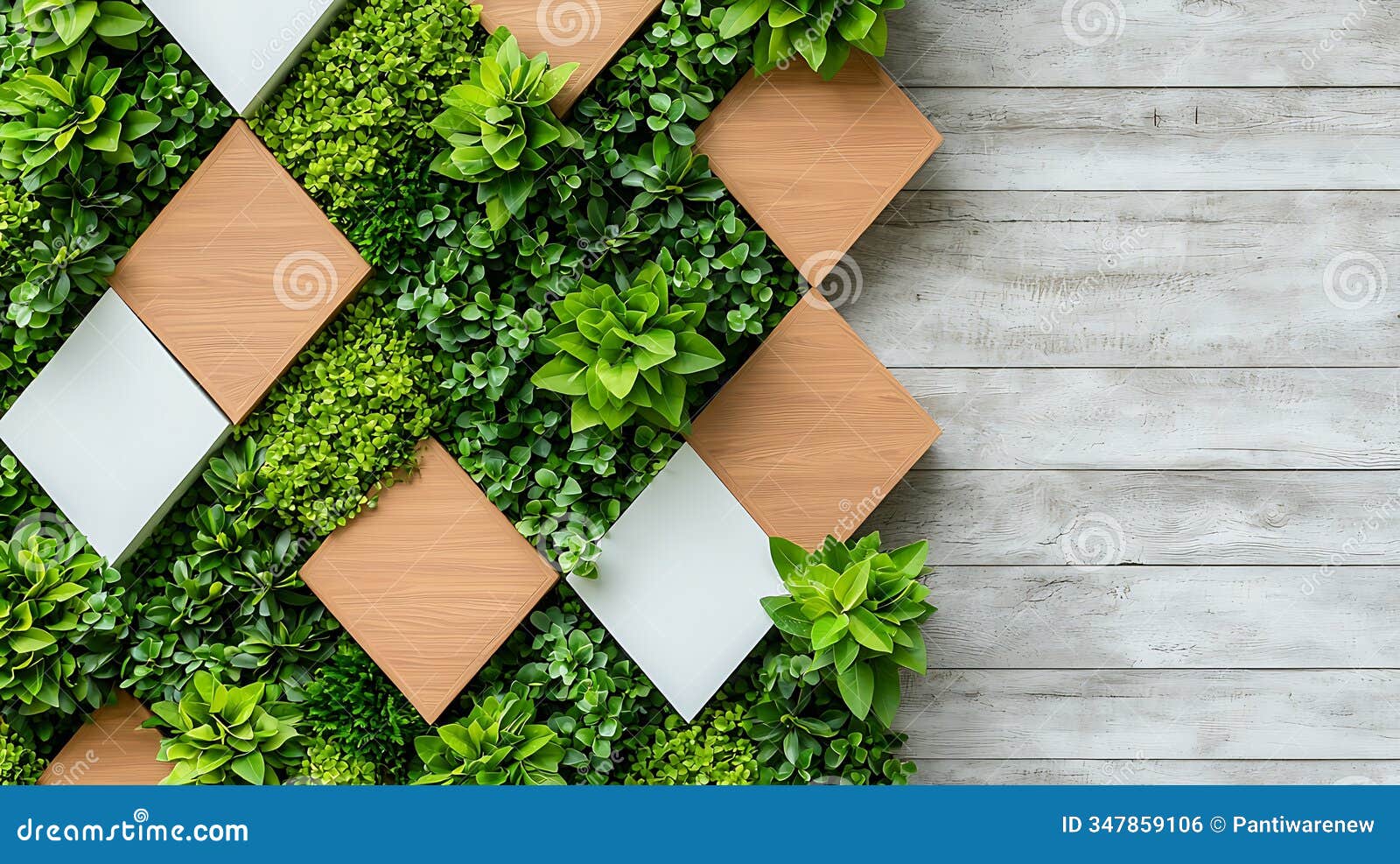 Modern Vertical Garden with Clean Design Elements Stock Illustration ...