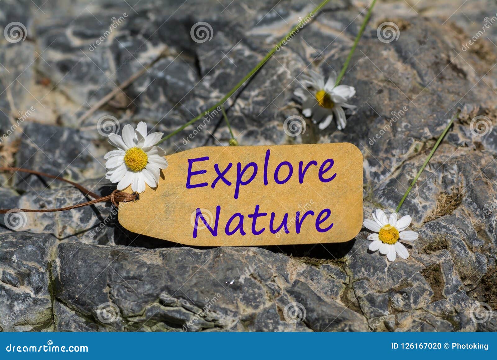 Explore nature label stock photo. Image of moist, hanging - 126167020
