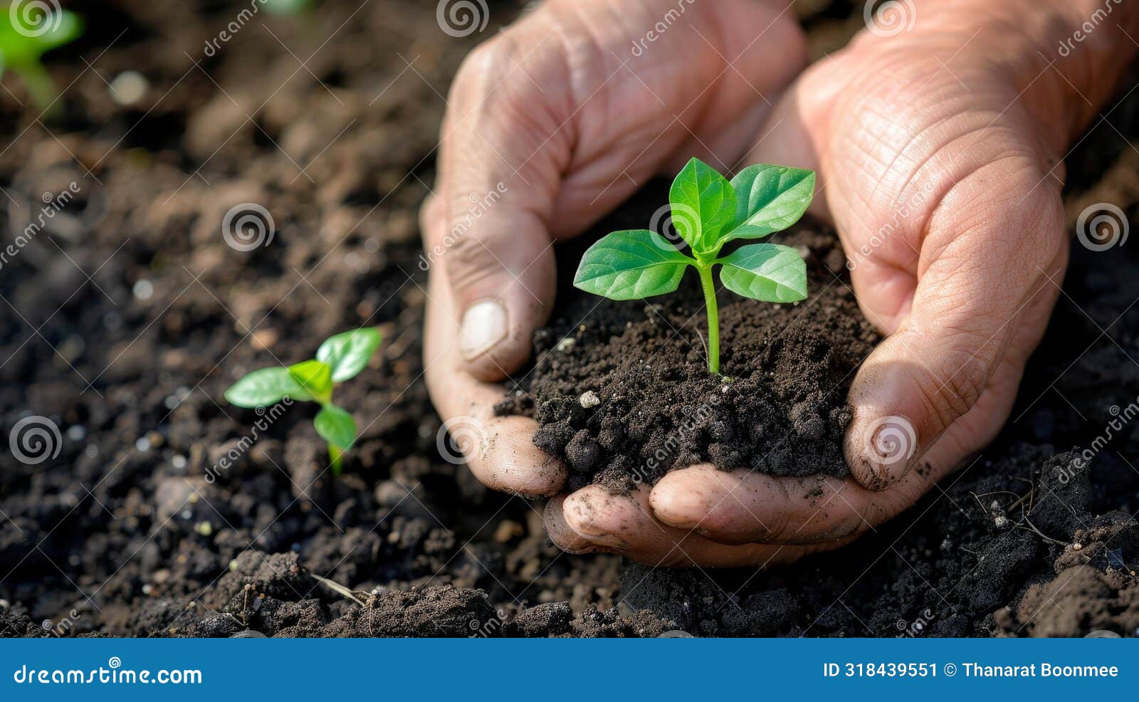 Explore the Powerful Social Impact of Communitybased Programs in Our ...