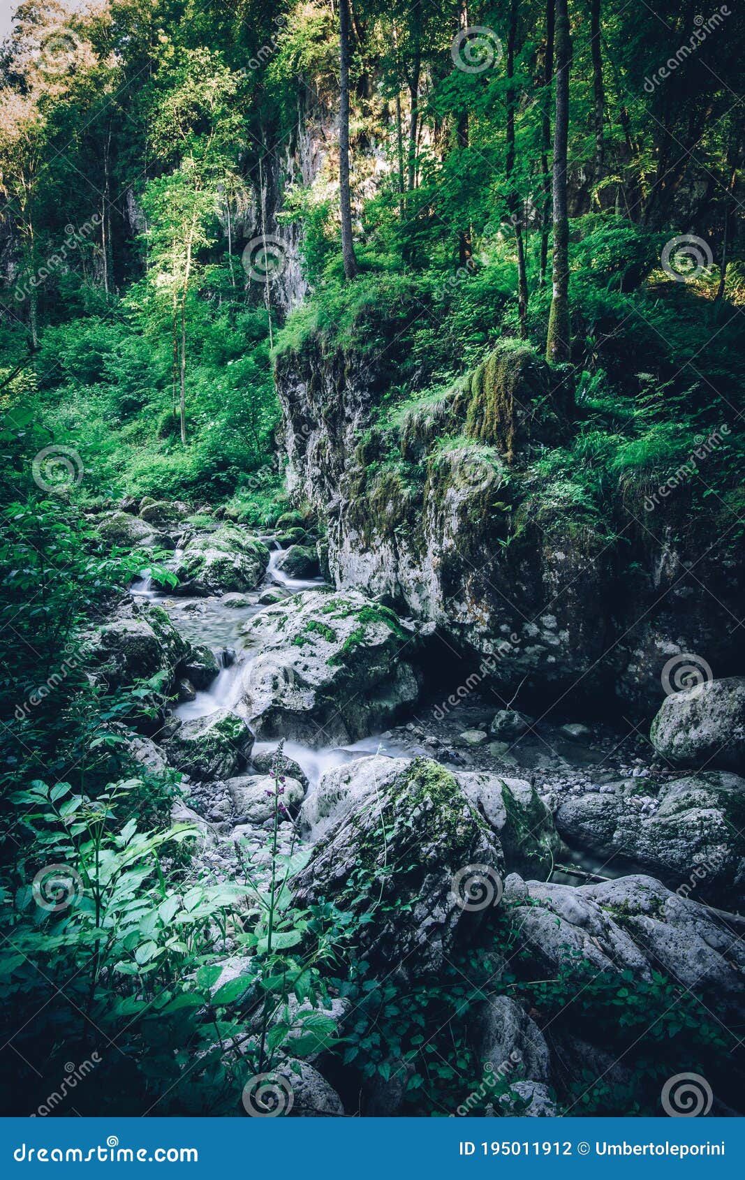 Explore the Small Wild Little Valley Stock Photo - Image of mindset ...