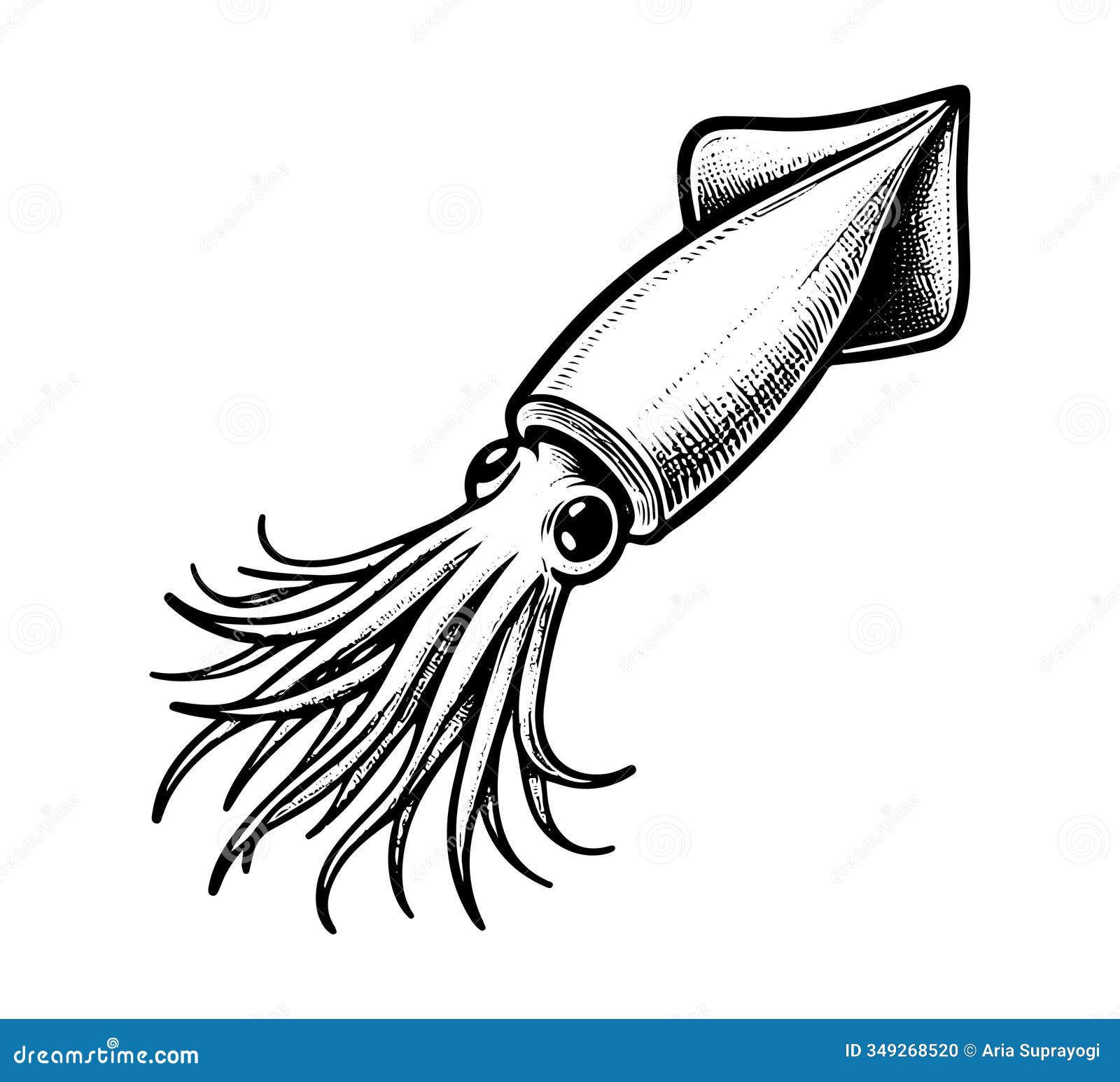 Squid Hand Drawn Seamless Pattern Isolated On White Background. Seafood ...