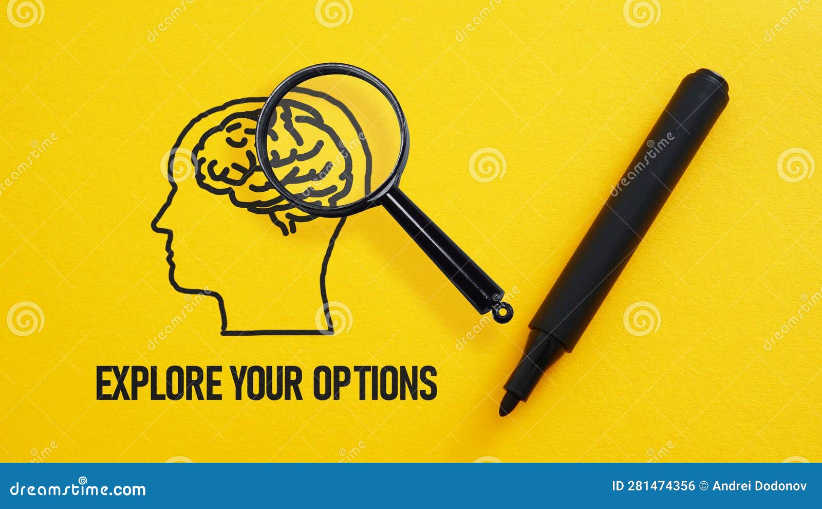 Explore Your Options is Shown Using the Text and Picture of the Head ...