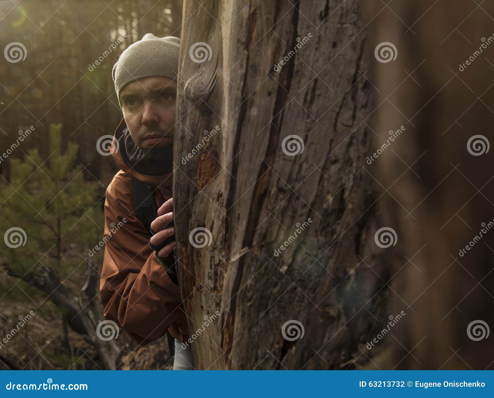Explorer Observes in Search of Something New Stock Photo - Image of ...