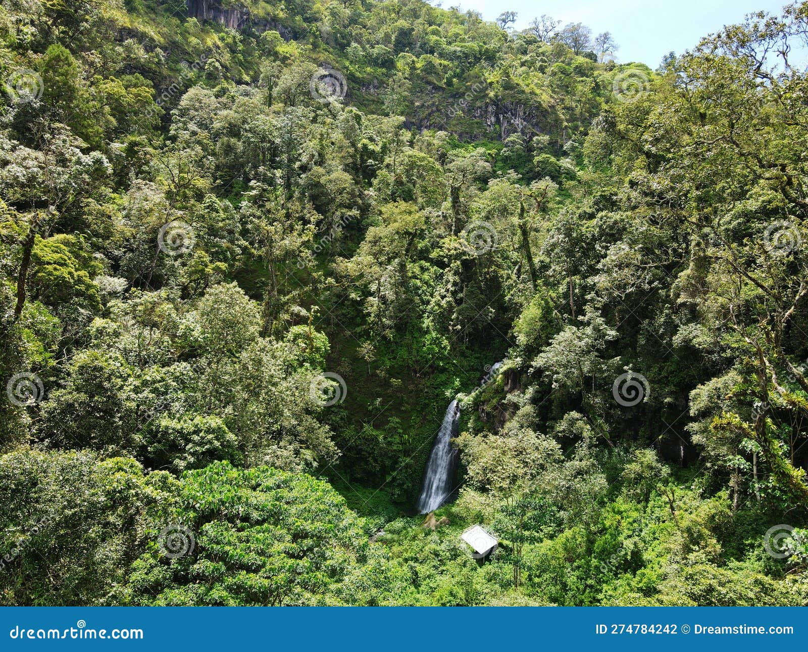 Explorer Siji Waterfall Pujon, Malang, East Java, Indonesia Stock Photo ...
