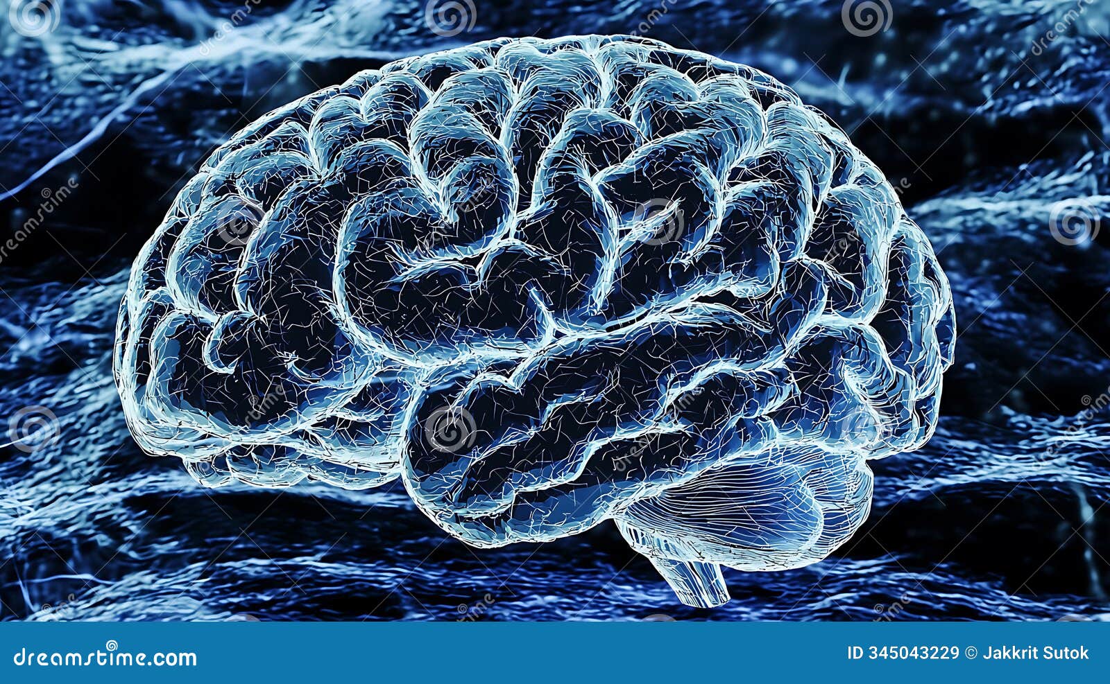 Exploring ADHD Pathways in Children S Brains an Illustrated Guide To ...