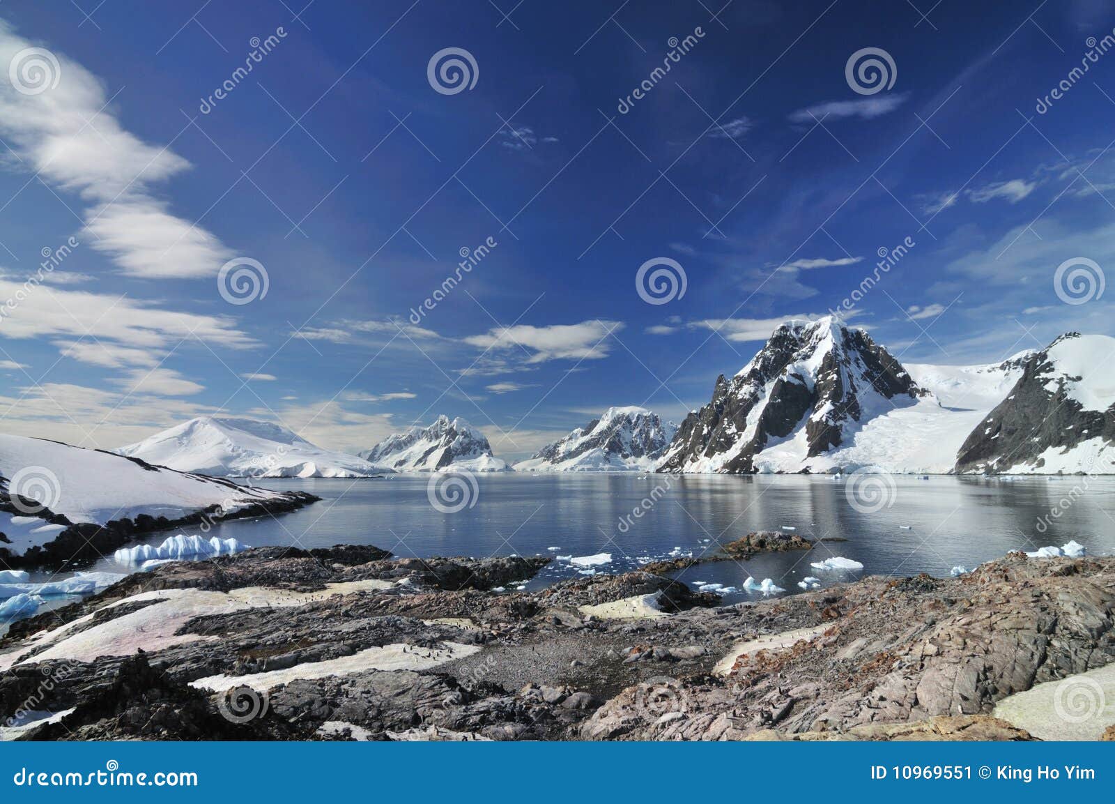 Exploring Antarctica stock image. Image of melting, penguin - 10969551
