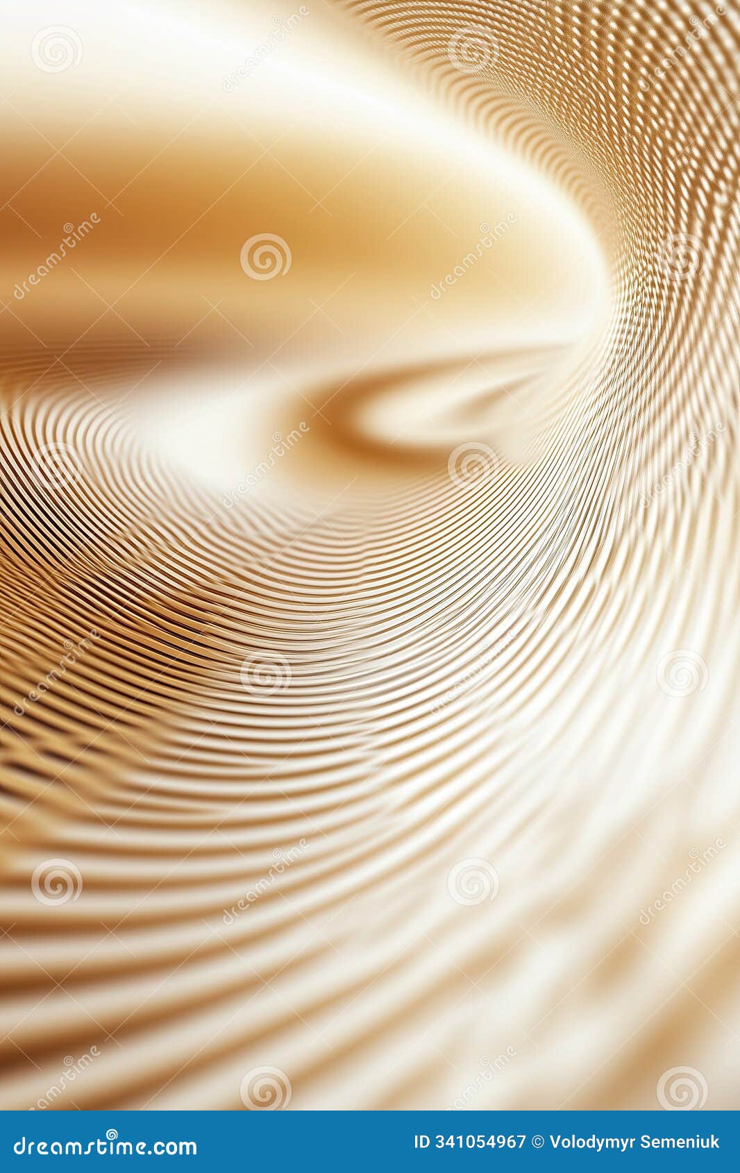 Exploring the Beauty of Quadratic Equations during Math and Computer ...