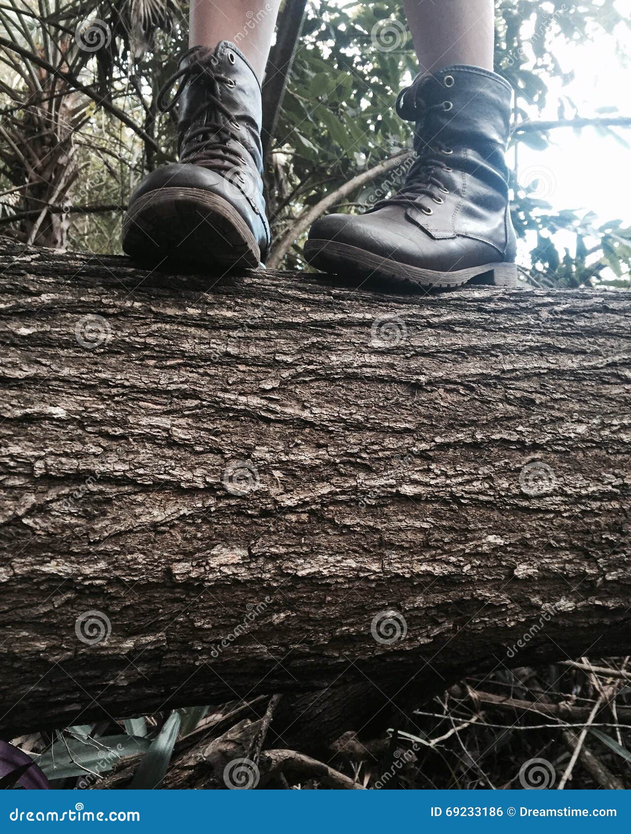 Exploring boots stock photo. Image of woods, boots, tree - 69233186