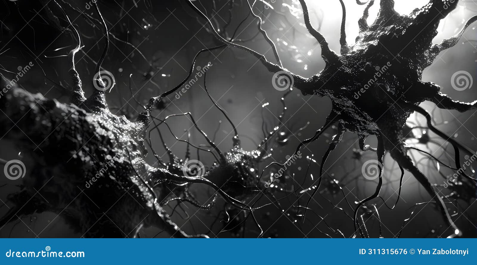 Exploring Brain Cells Interconnected Under an Electron Microscope ...