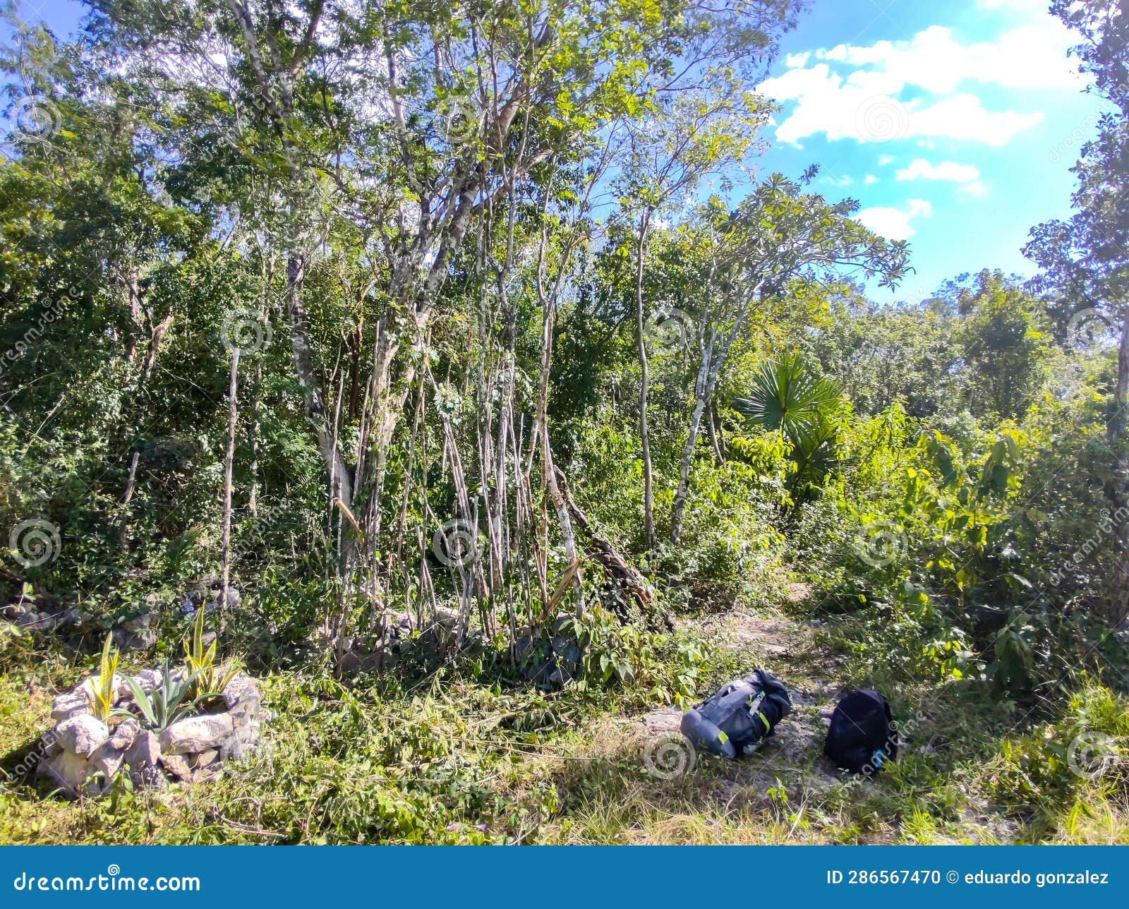 Exploring Camping in Mayan Jungle Mexico Stock Photo - Image of mexico ...