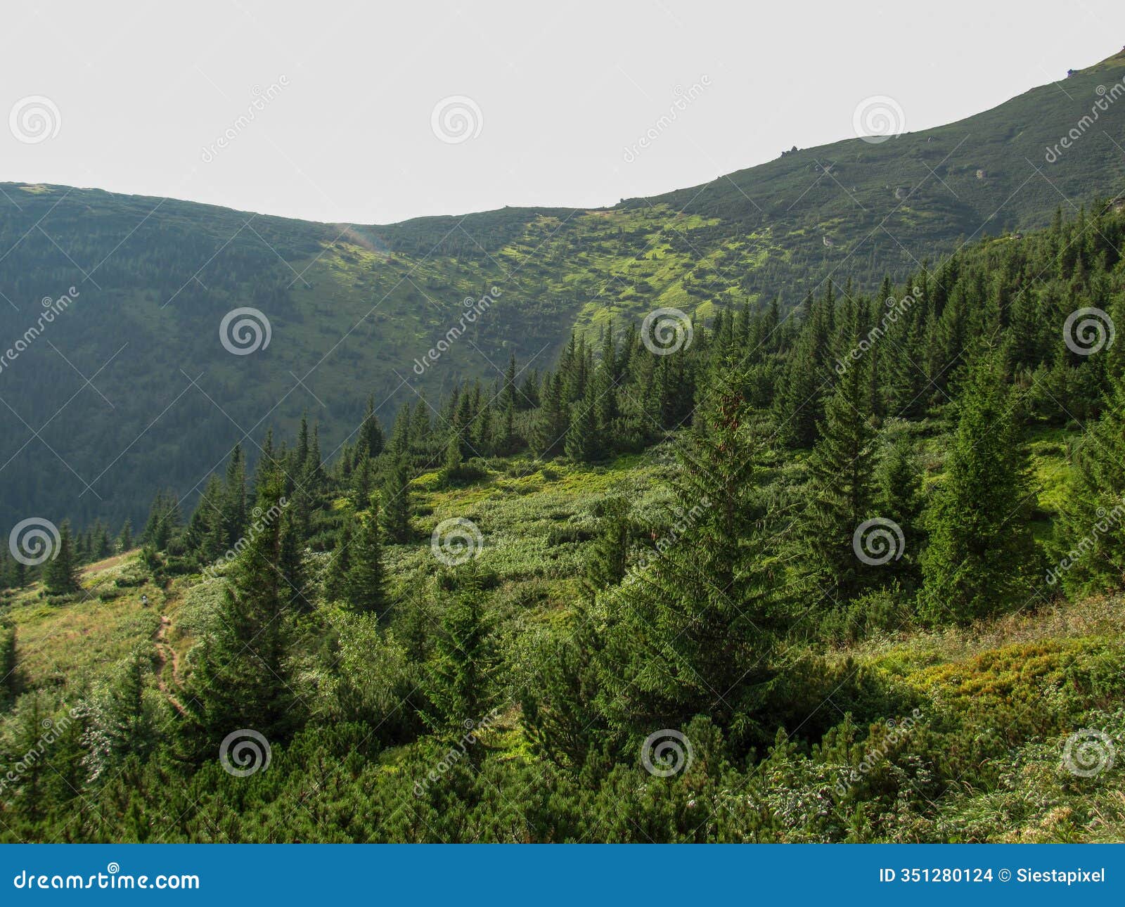 Exploring the Carpathian Mountains in Ukraine Stock Photo - Image of ...