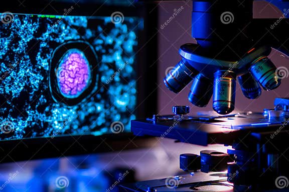 Exploring Cellular Structures through Advanced Microscopy Techniques ...