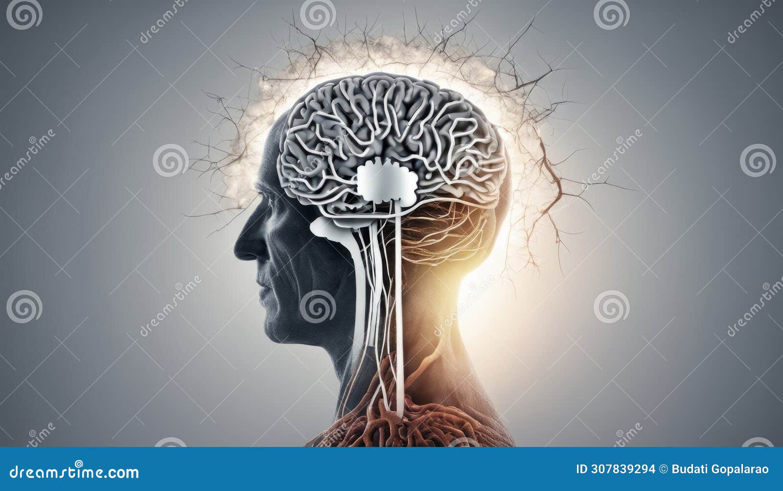 Exploring the Complexity of Human Cognition and Emotion Stock ...