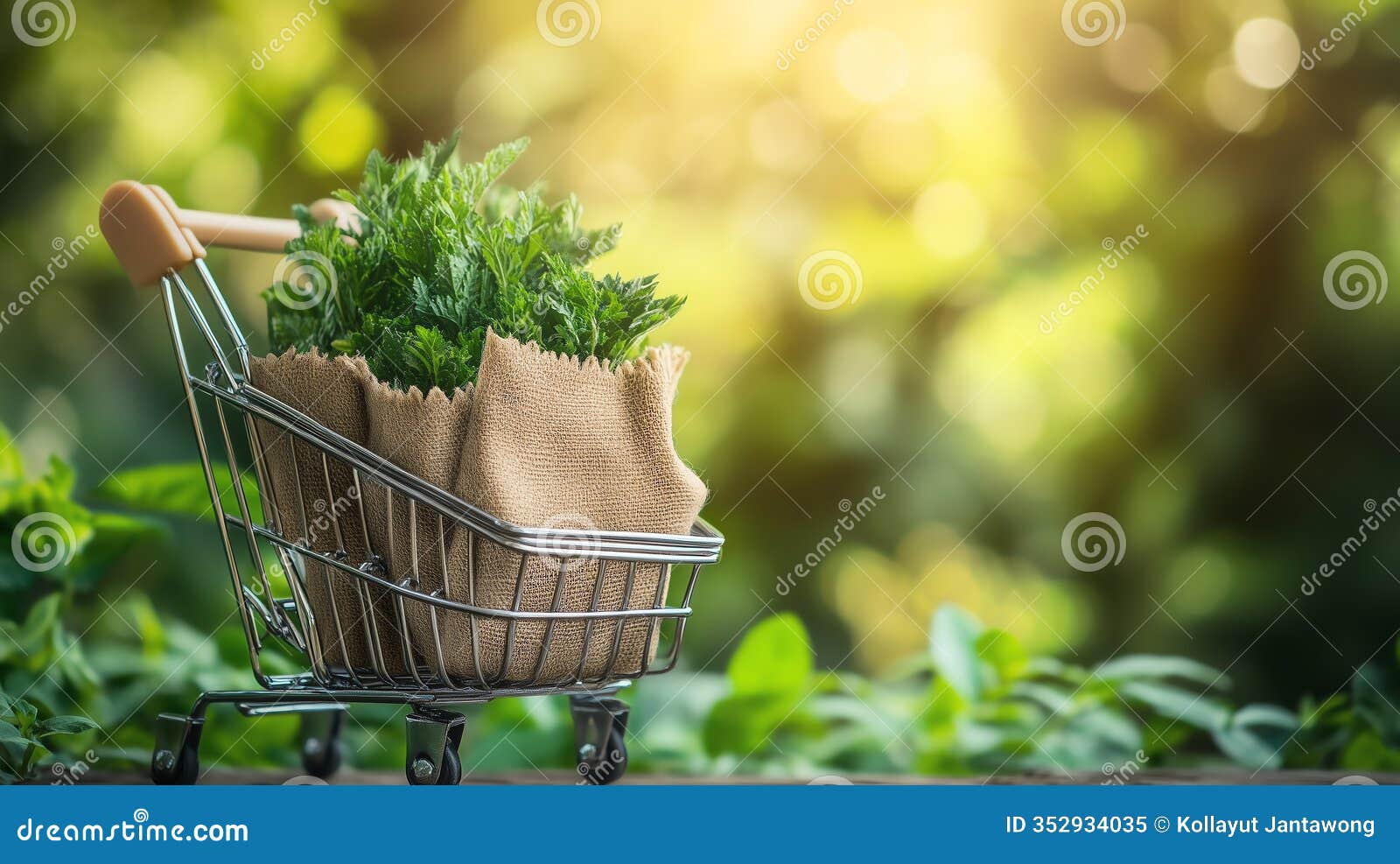 Exploring Consumer Behavior and Sustainability To Understand the Impact ...