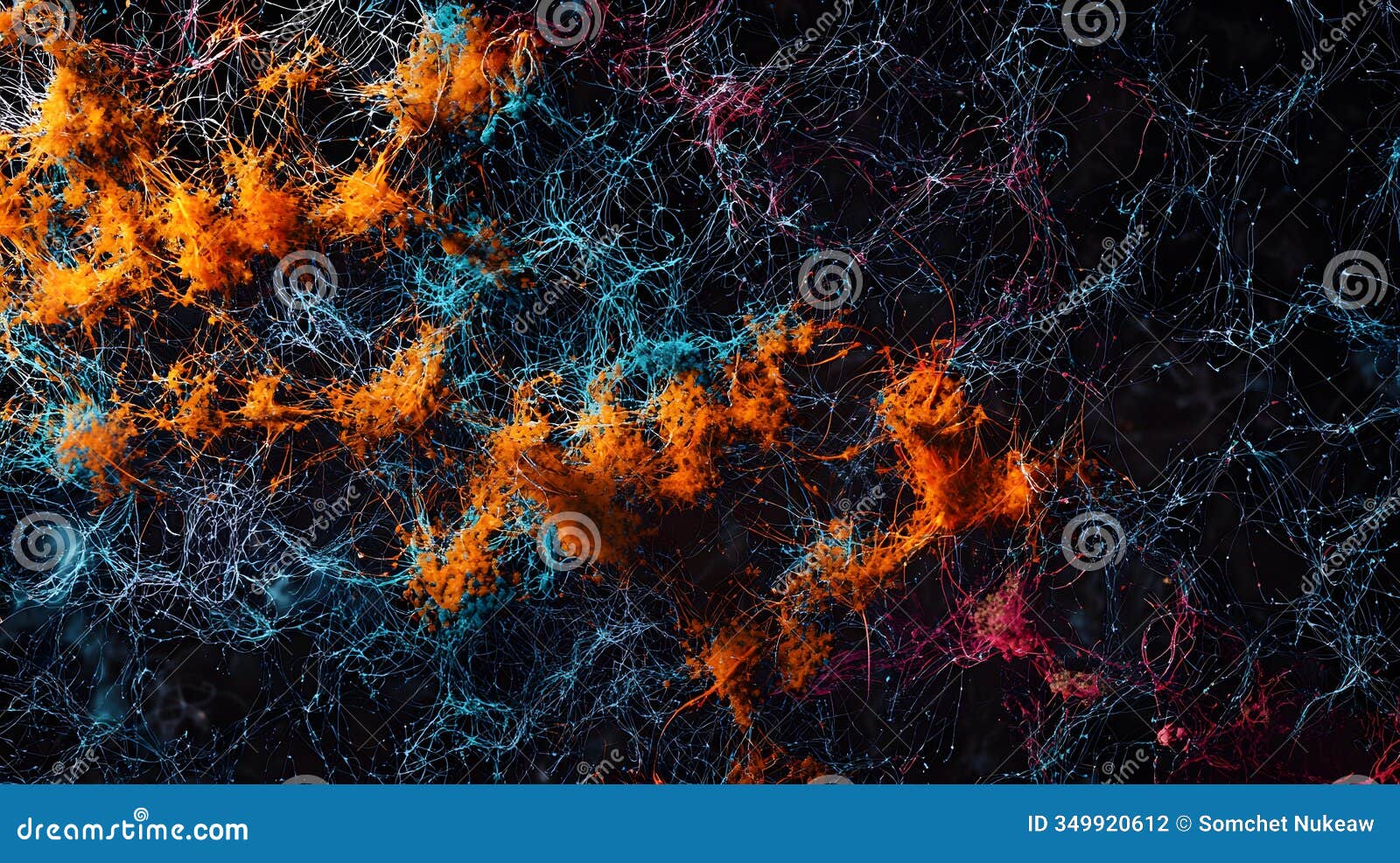 Visualizing The Universe In A Bite Abstract Food Photography Transforms ...