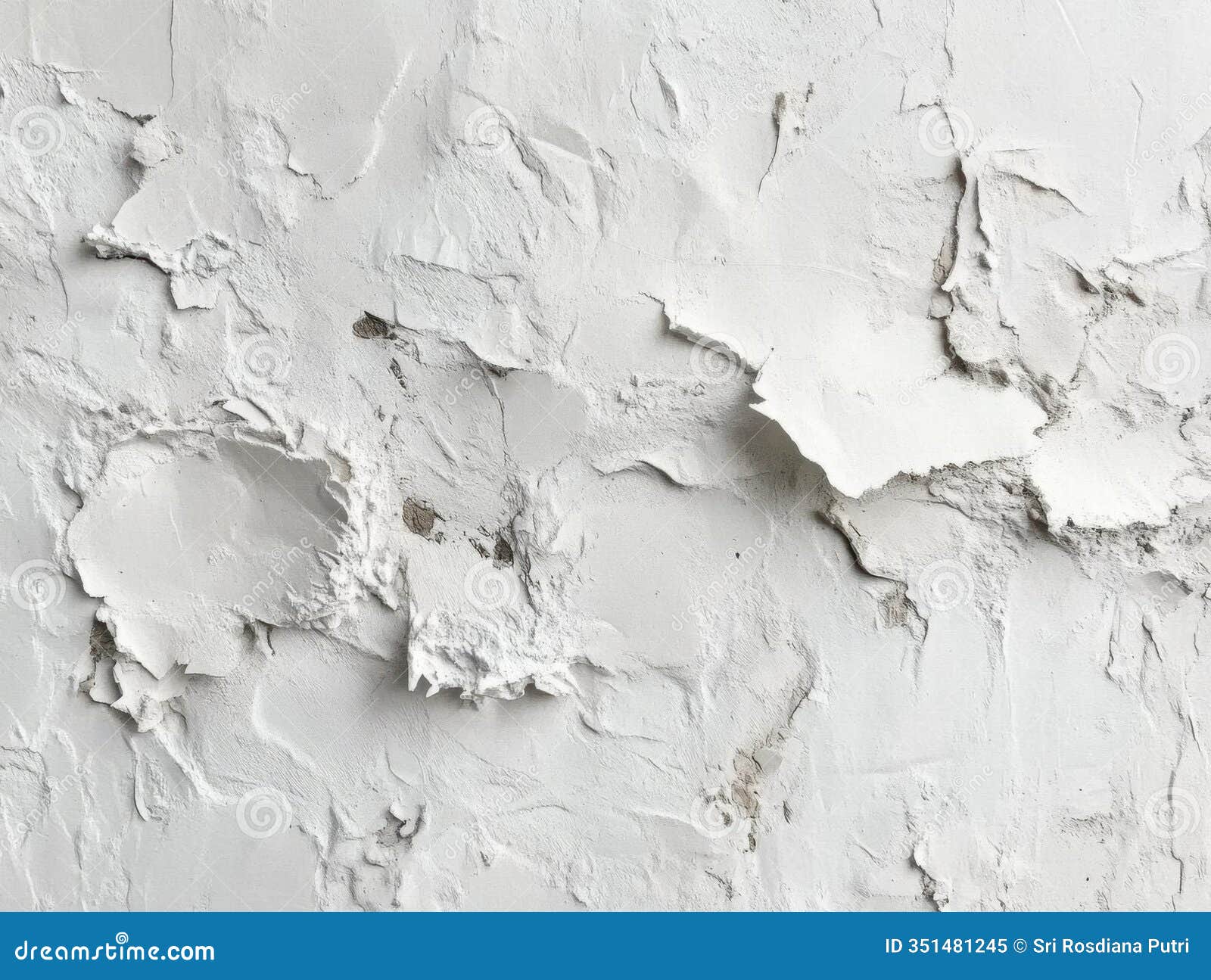 Exploring Damaged Plaster Wall Textures, a Detailed Look at White ...