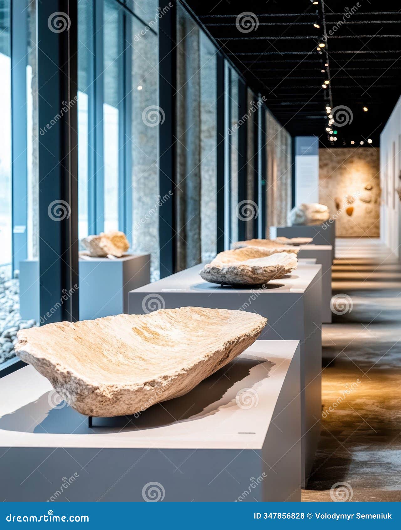 Exploring the Depths of Evolution through Fossils and Diagrams in a ... Exploring the Depths of Evolution through Fossils and Diagrams in a ...