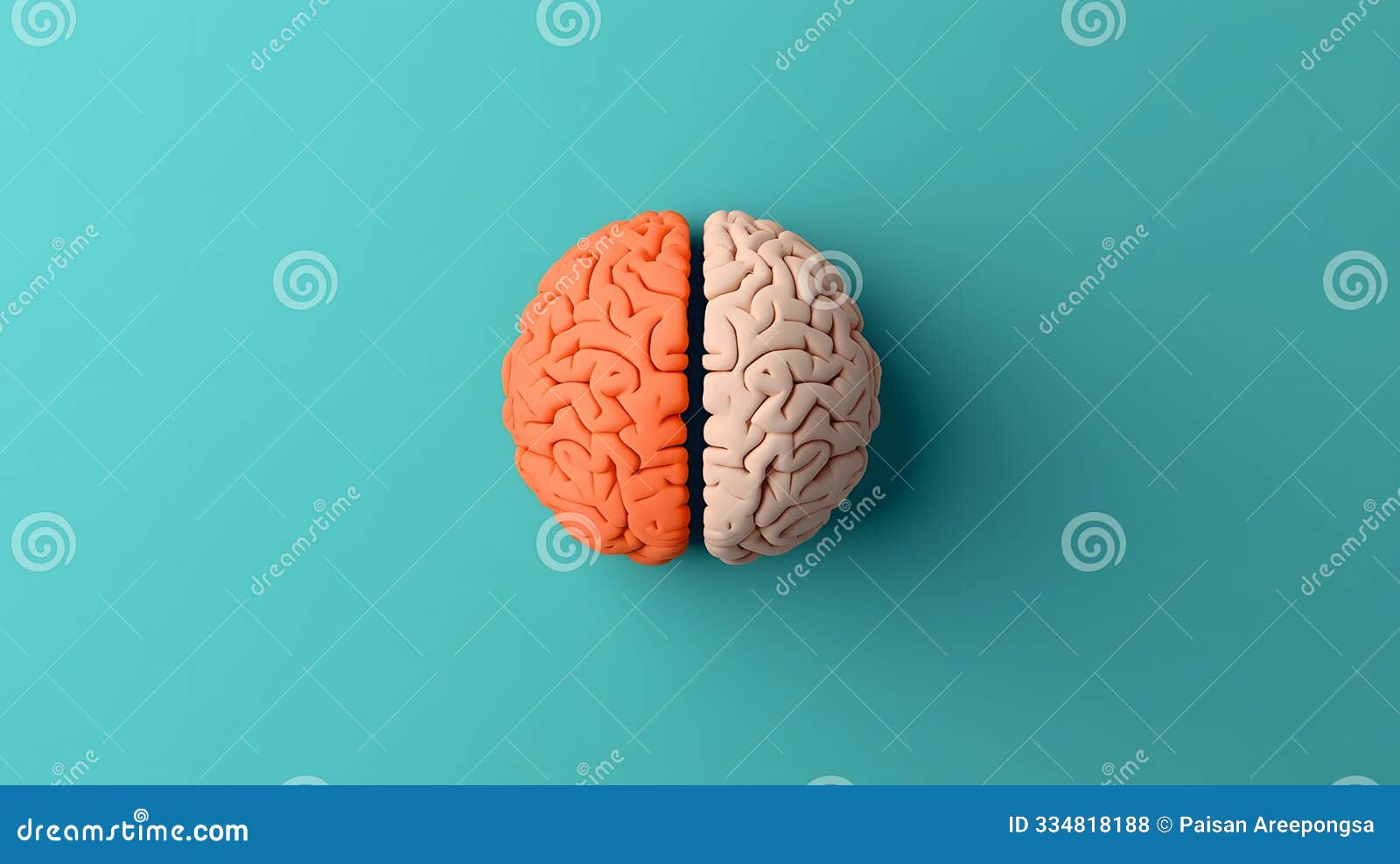 Exploring the Duality of Thought: the Creative and Logical Sides of the ...