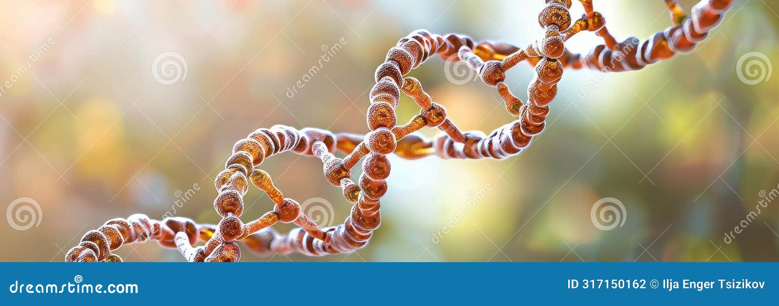 Exploring the Essence of Life Dna, Genetic Code, and Cell Structure in ...