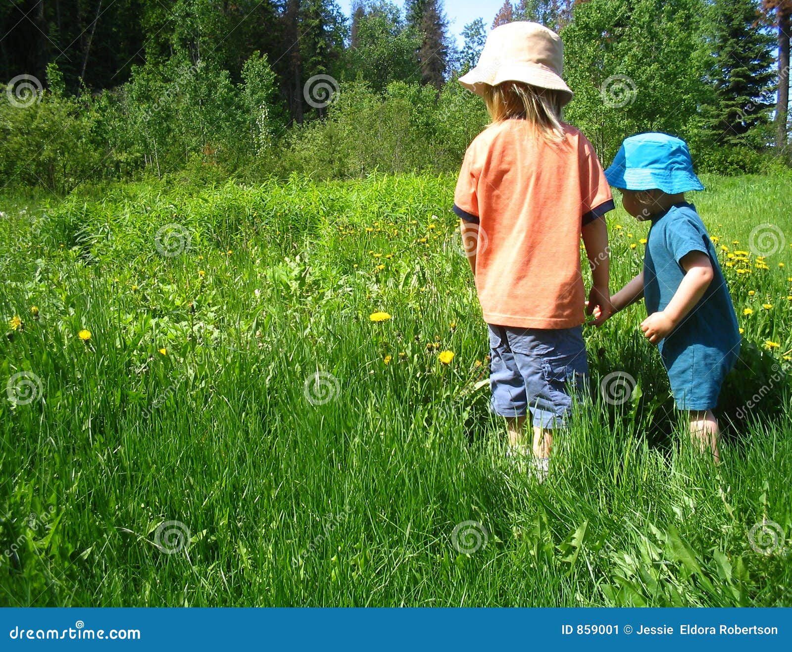 Exploring the field stock image. Image of kids, trees, exploring - 859001
