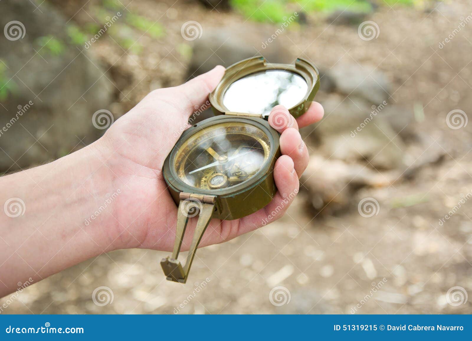 Exploring the Forest with a Compass in Hand Stock Image - Image of ...