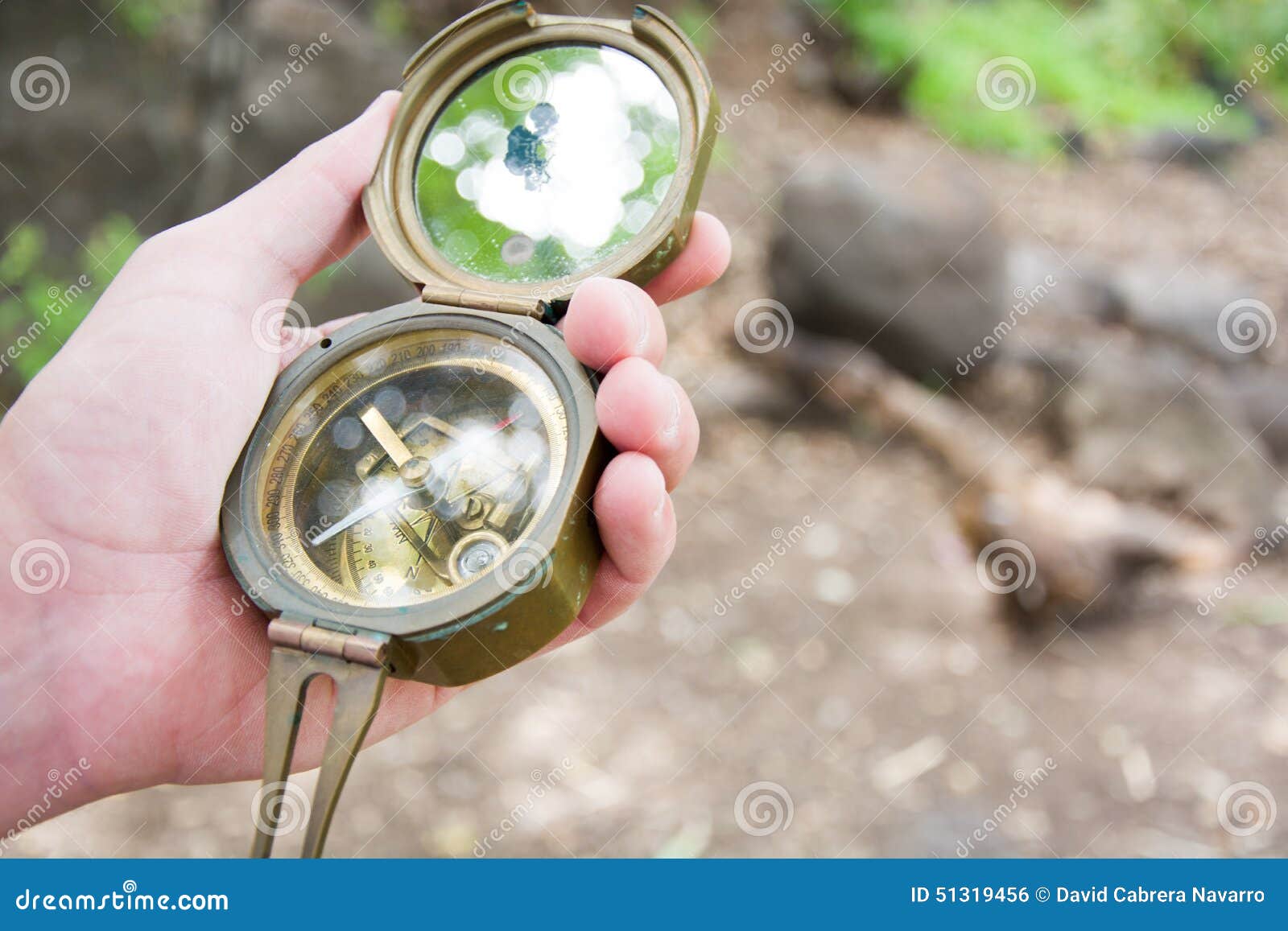 Exploring the Forest with a Compass in Hand Stock Photo - Image of ...