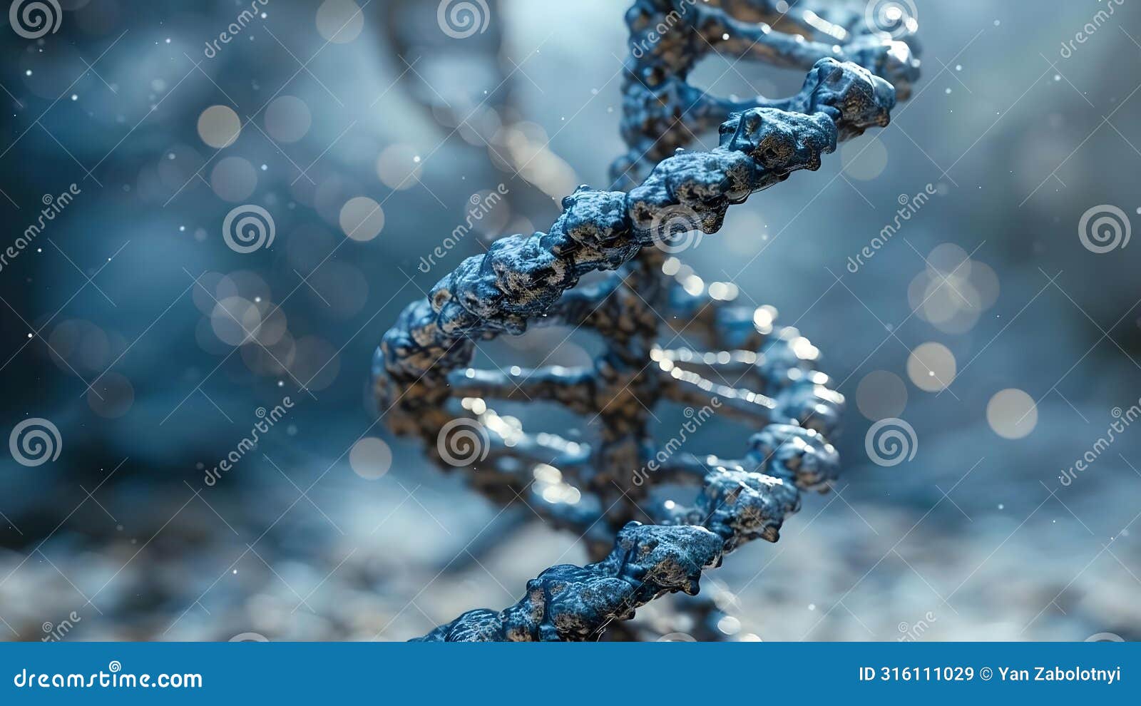 Exploring the Genetic Composition of the Human Genome through ...