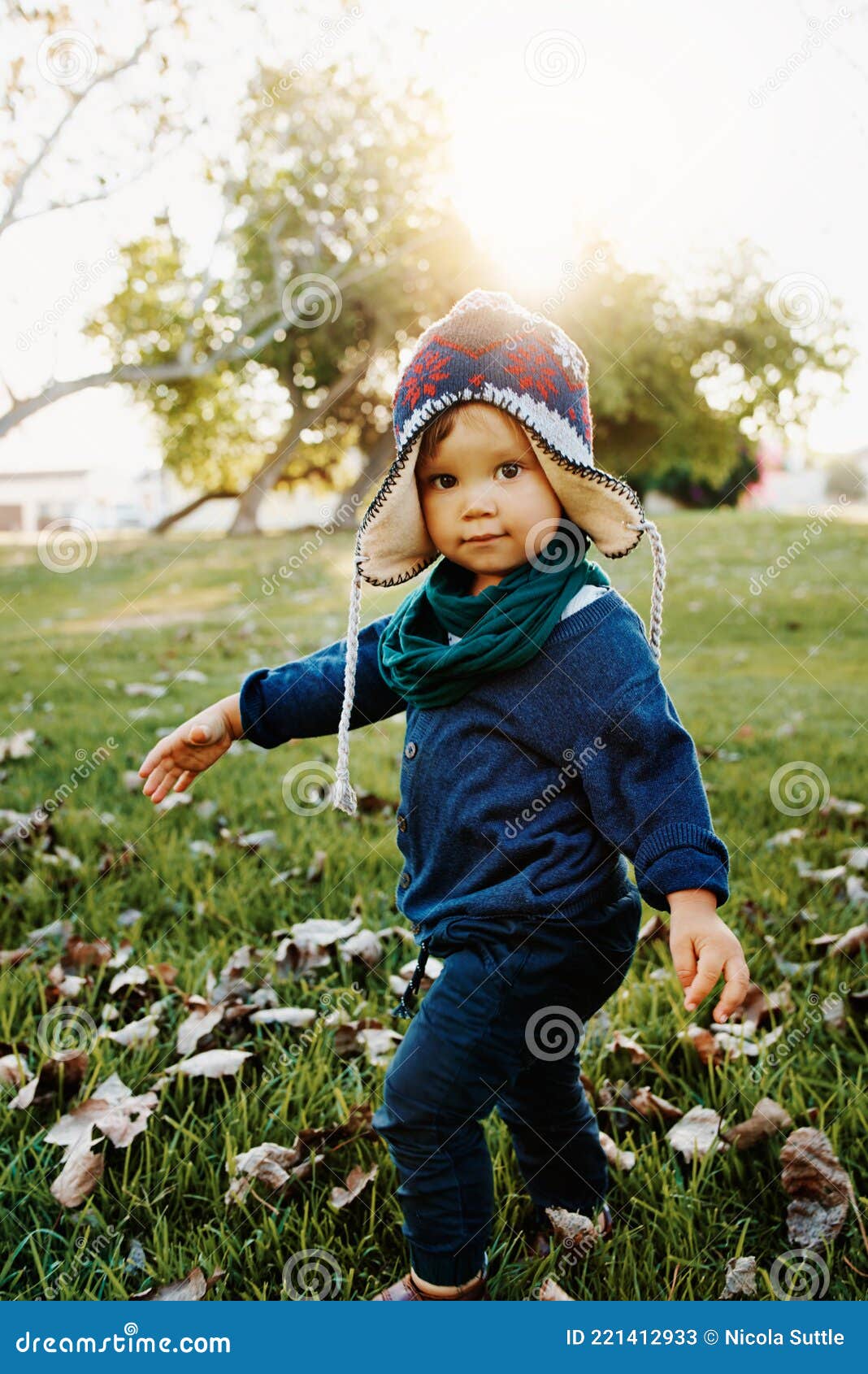 Exploring on the greenery stock image. Image of foliage - 221412933
