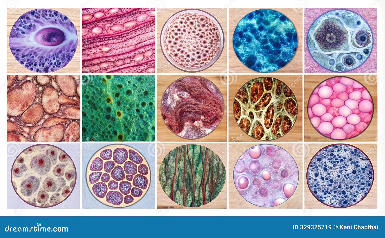 Animal Tissues Cartoon Vector | CartoonDealer.com #53232761