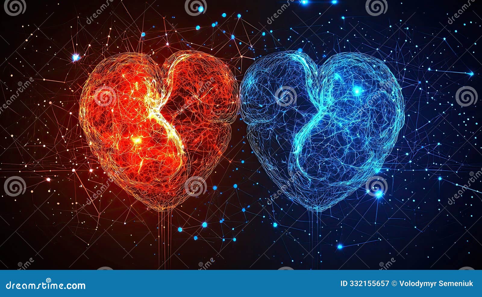 Exploring the Connection between Brain and Heart in Human Vascular ...
