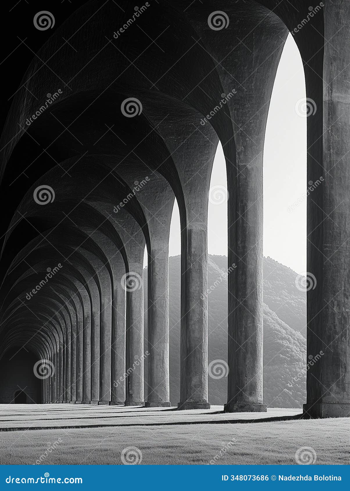 Exploring the Interplay of Light and Shadow within a Series of Graceful ...