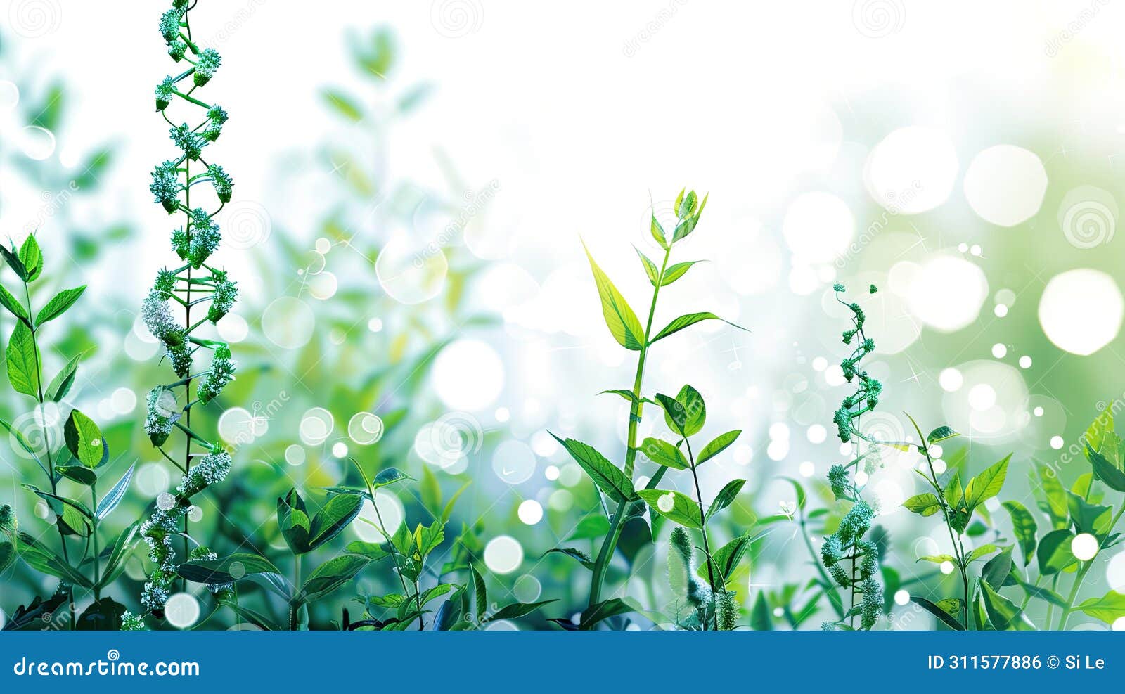 Exploring the Intersection of Science and Nature: Biochemistry, DNA ...