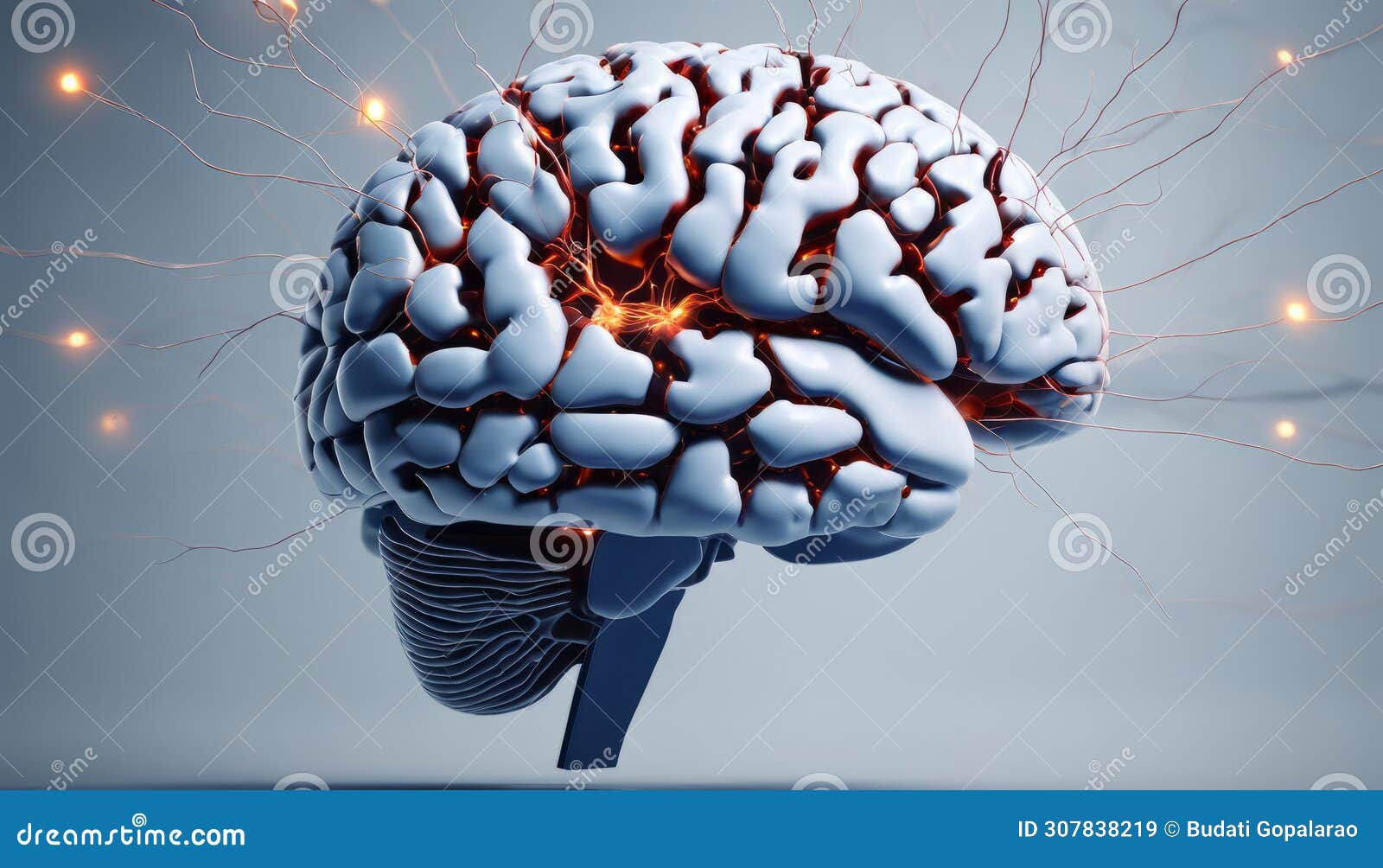 Exploring the Intricate Network of the Human Brain Stock Illustration ... Exploring the Intricate Network of the Human Brain Stock Illustration ...