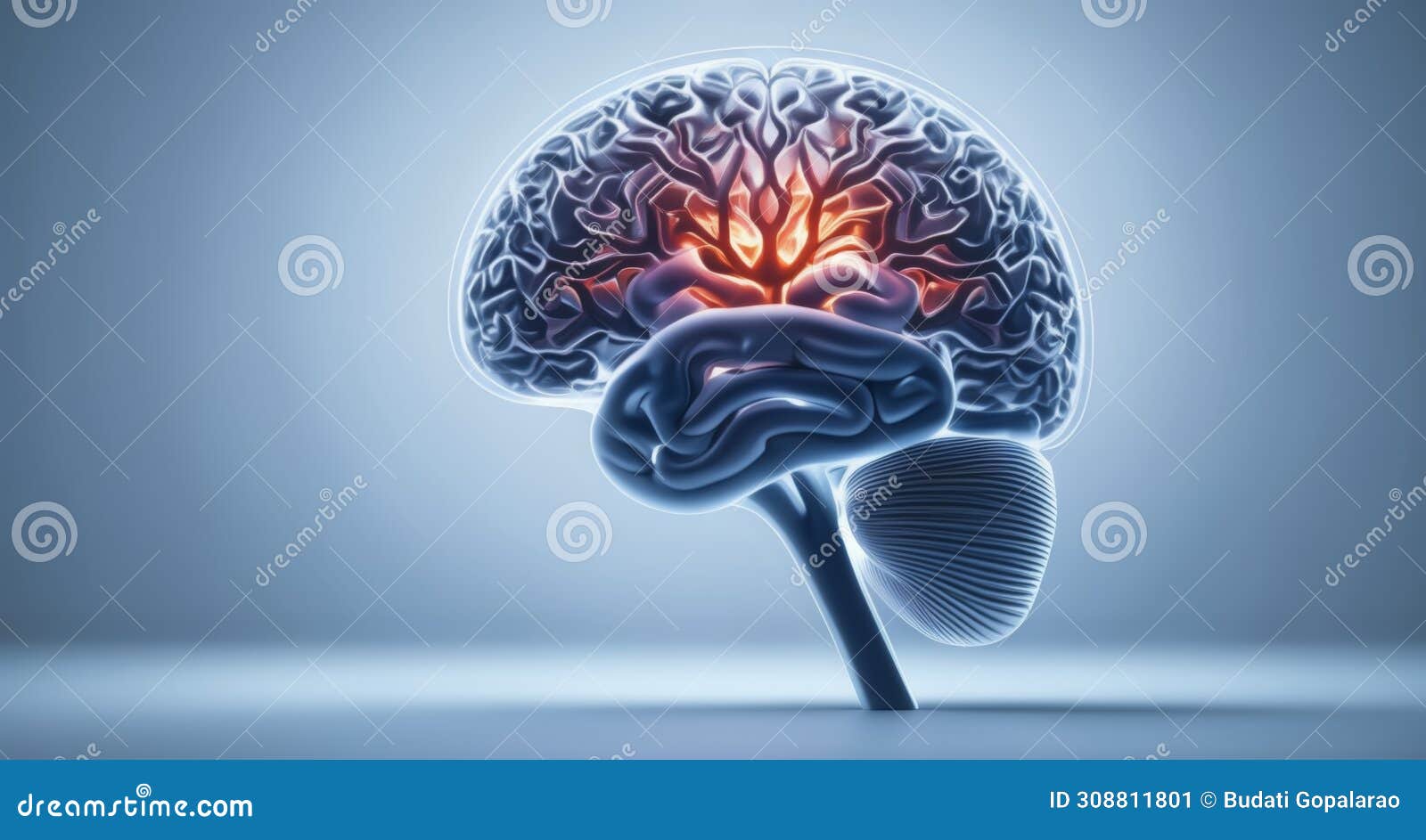 Exploring the Intricate Network of the Human Brain Stock Illustration ... Exploring the Intricate Network of the Human Brain Stock Illustration ...