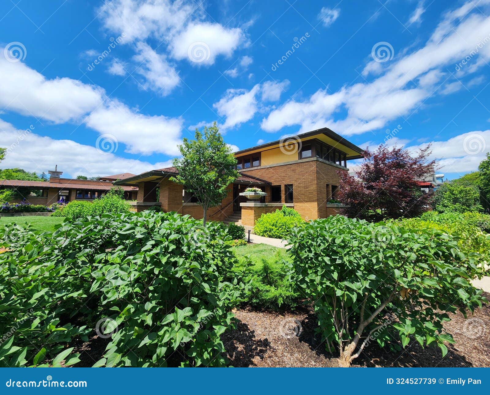 Exploring the Martin House stock image. Image of cottage - 324527739