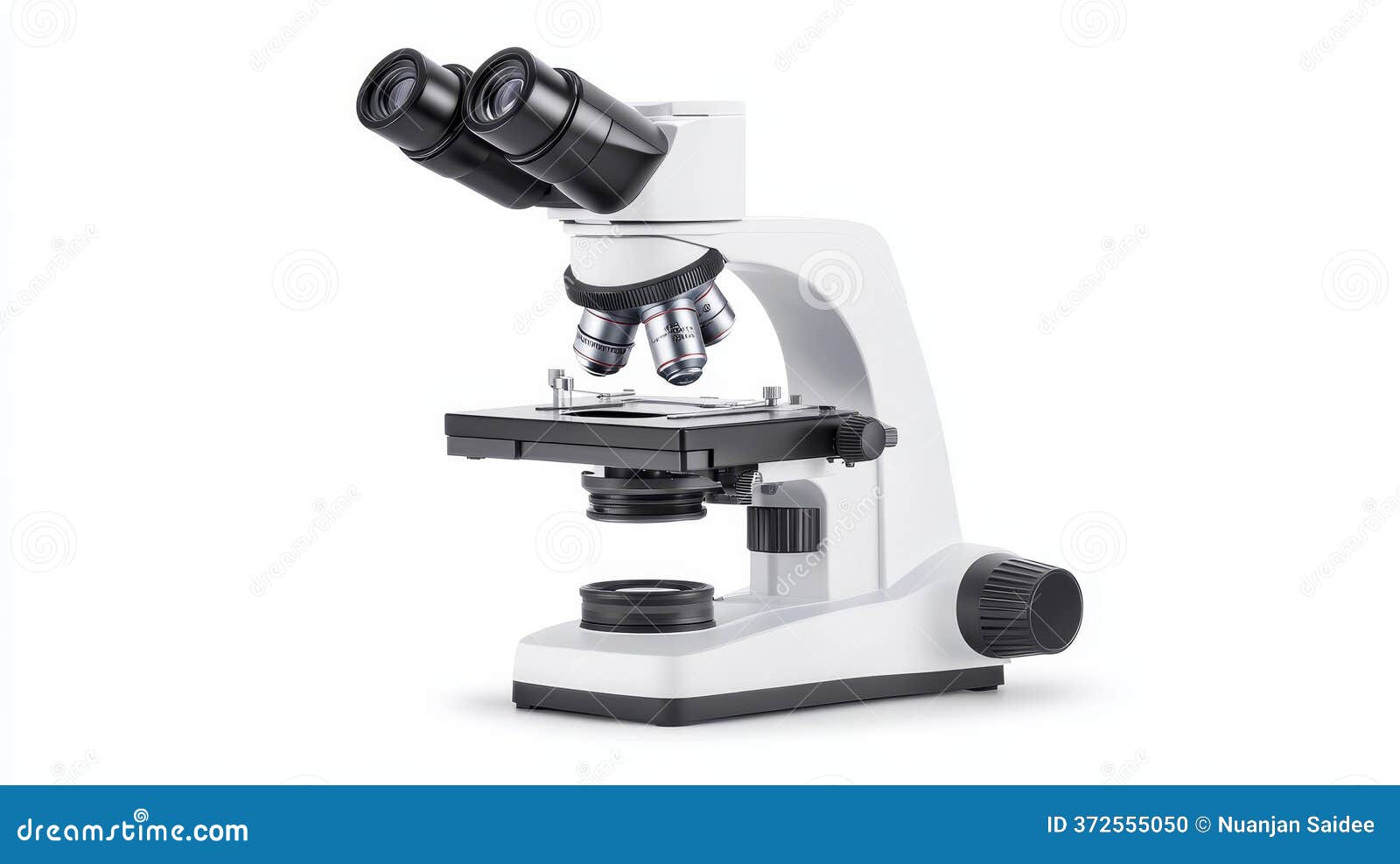 Exploring Microscopic Worlds: Unraveling The Secrets Of Cells And ...