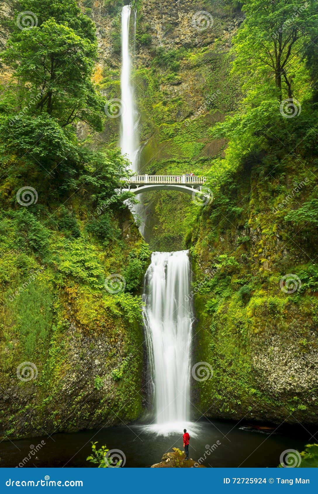 Exploring Multnomah Falls stock photo. Image of lush - 72725924