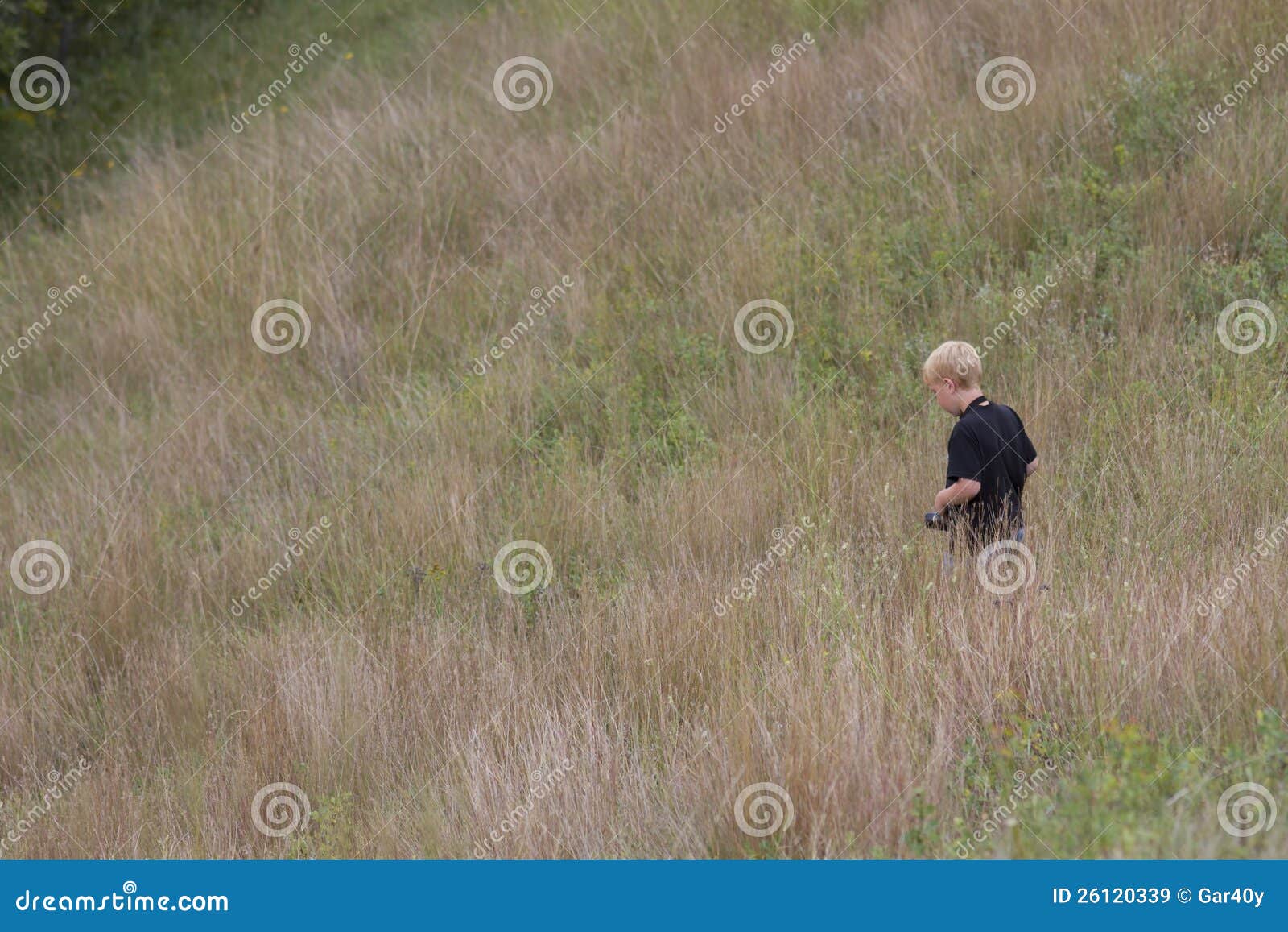 Exploring Nature stock image. Image of young, grass, nature - 26120339