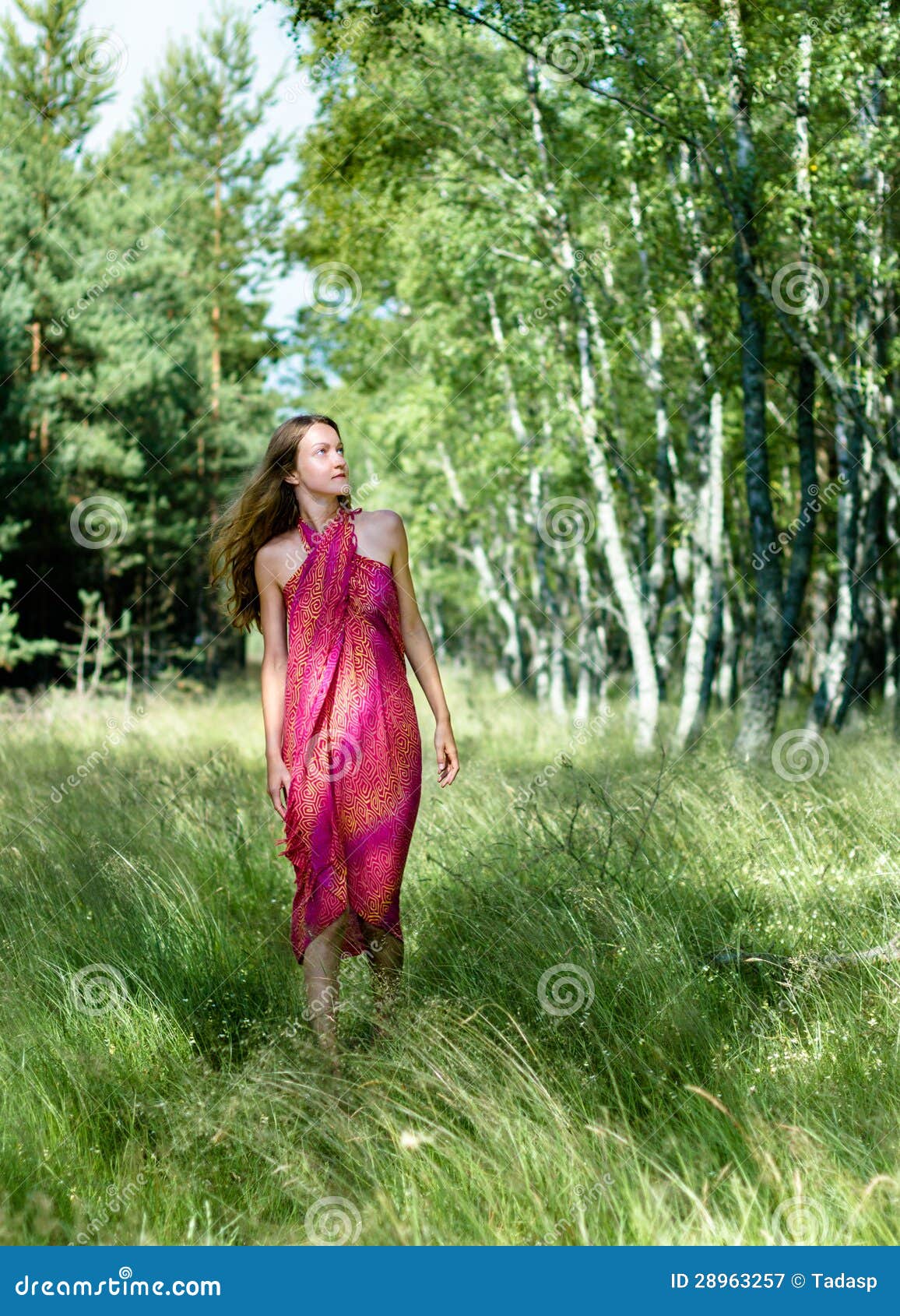 Exploring Nature stock image. Image of exploring, life - 28963257