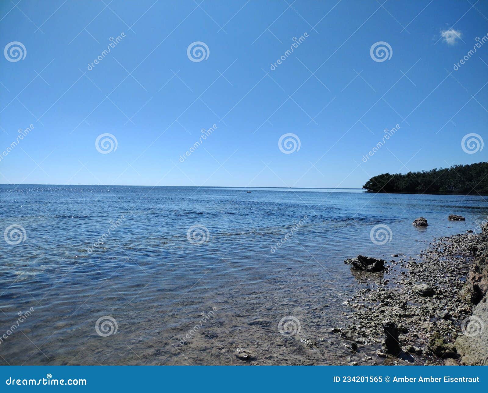 Exploring Nature in the Florida Keys Stock Image - Image of horizon ...