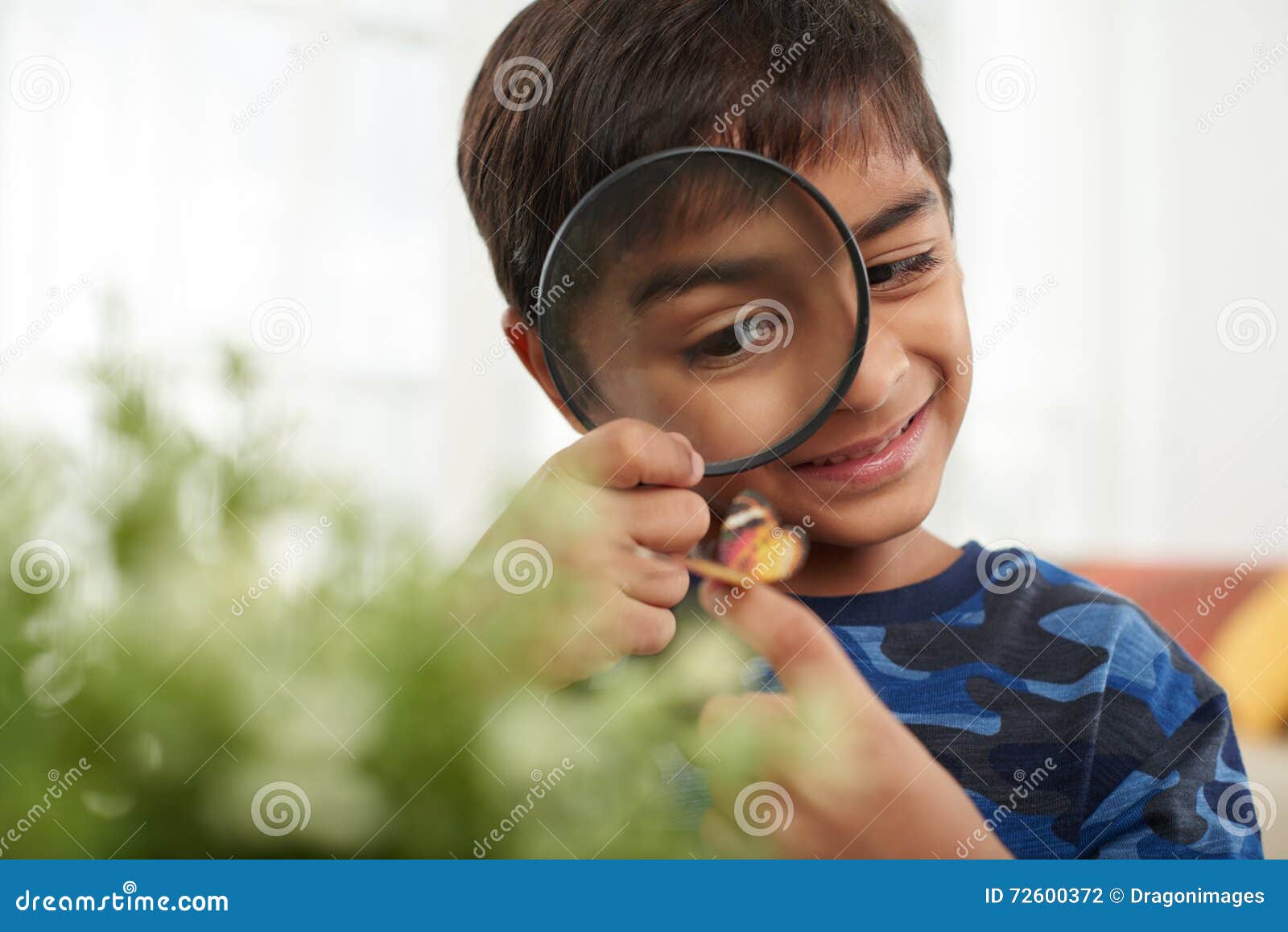 Exploring nature stock photo. Image of studying, childhood - 72600372