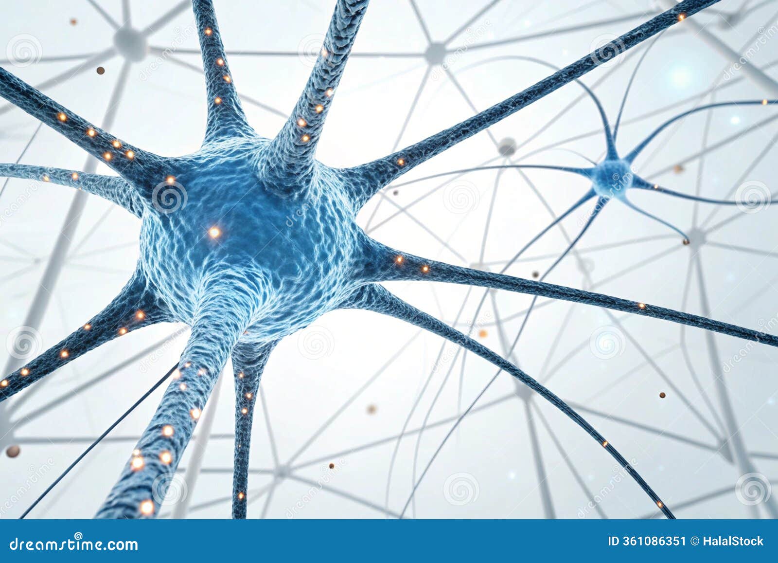 Exploring the Neural Networks: Unlocking the Power of the Human Mind ... Exploring the Neural Networks: Unlocking the Power of the Human Mind ...