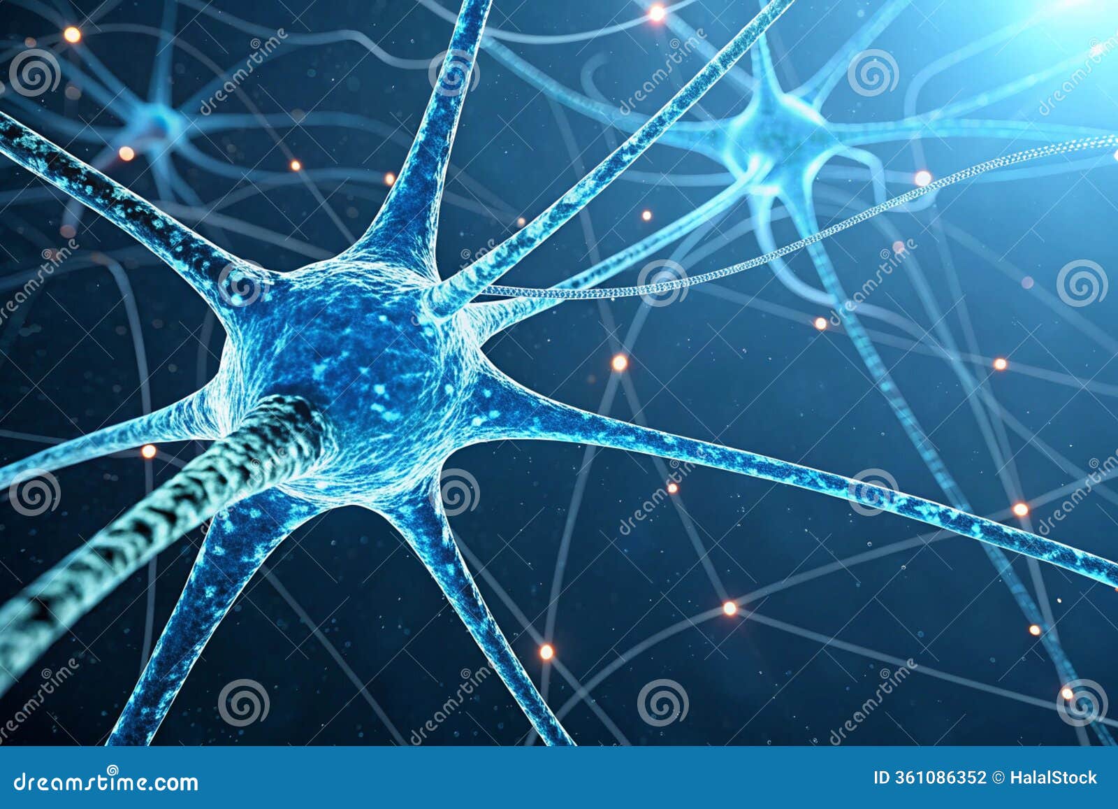 Exploring the Neural Networks: Unlocking the Power of the Human Mind ...